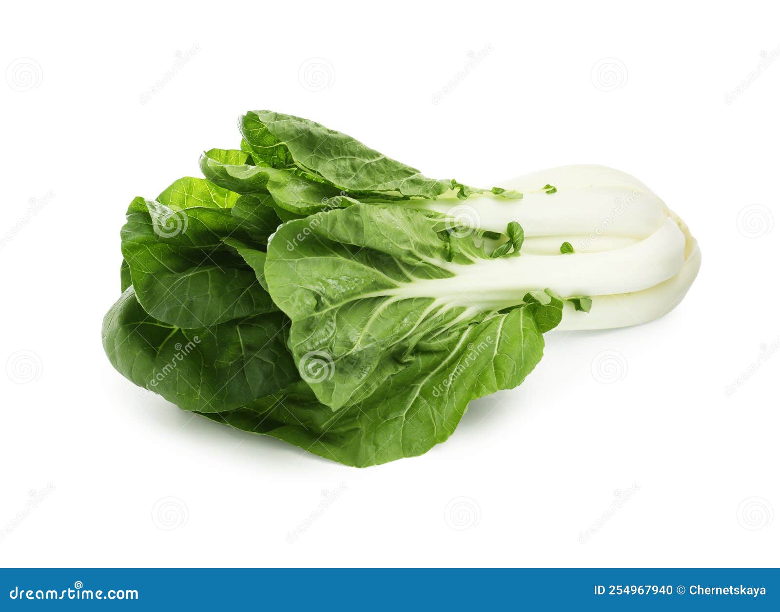 Repollo De Repollo Verde Fresco Aislado En Blanco Foto de archivo ...