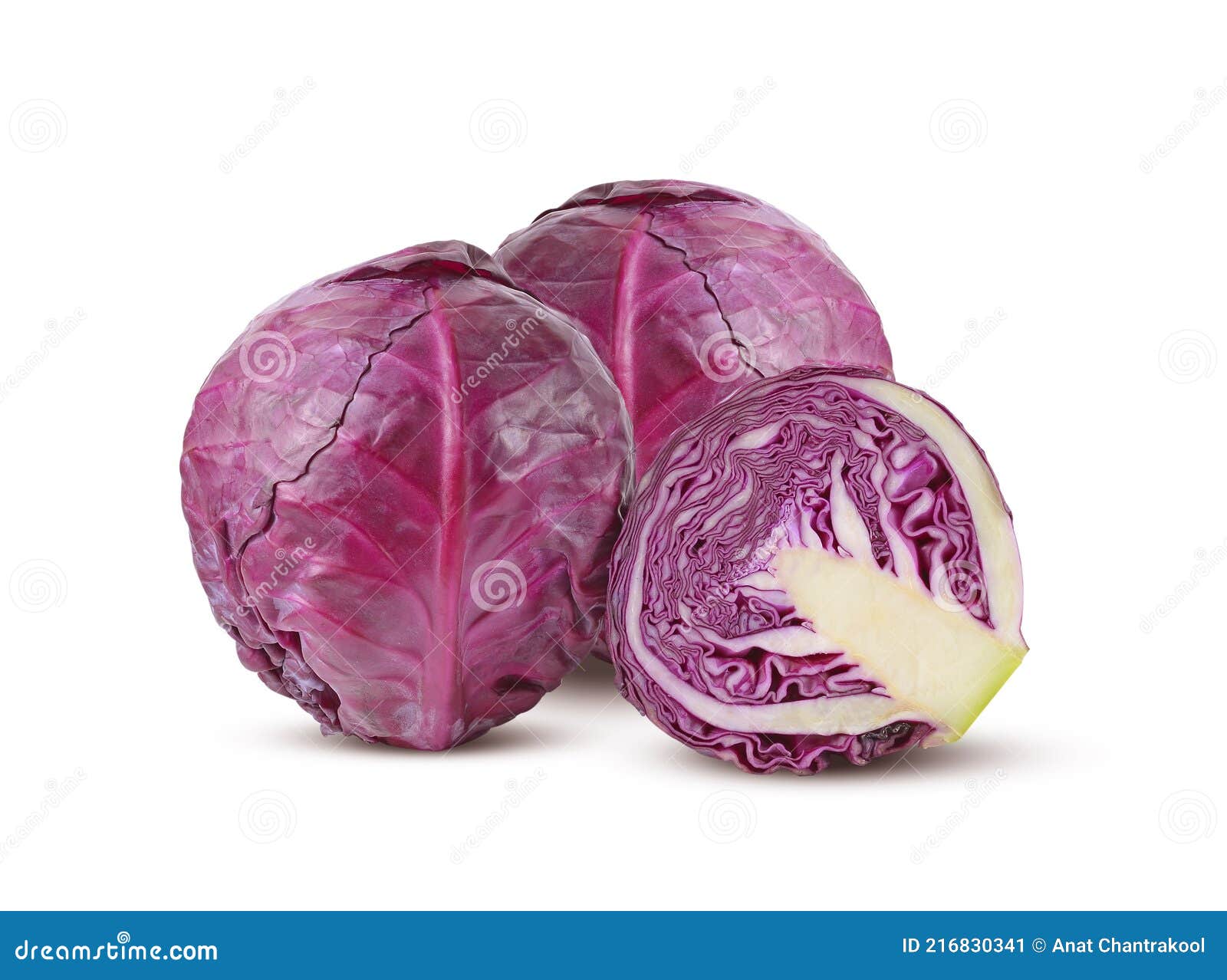 Repollo Morado Aislado Sobre Fondo Blanco Imagen de archivo - Imagen de ...