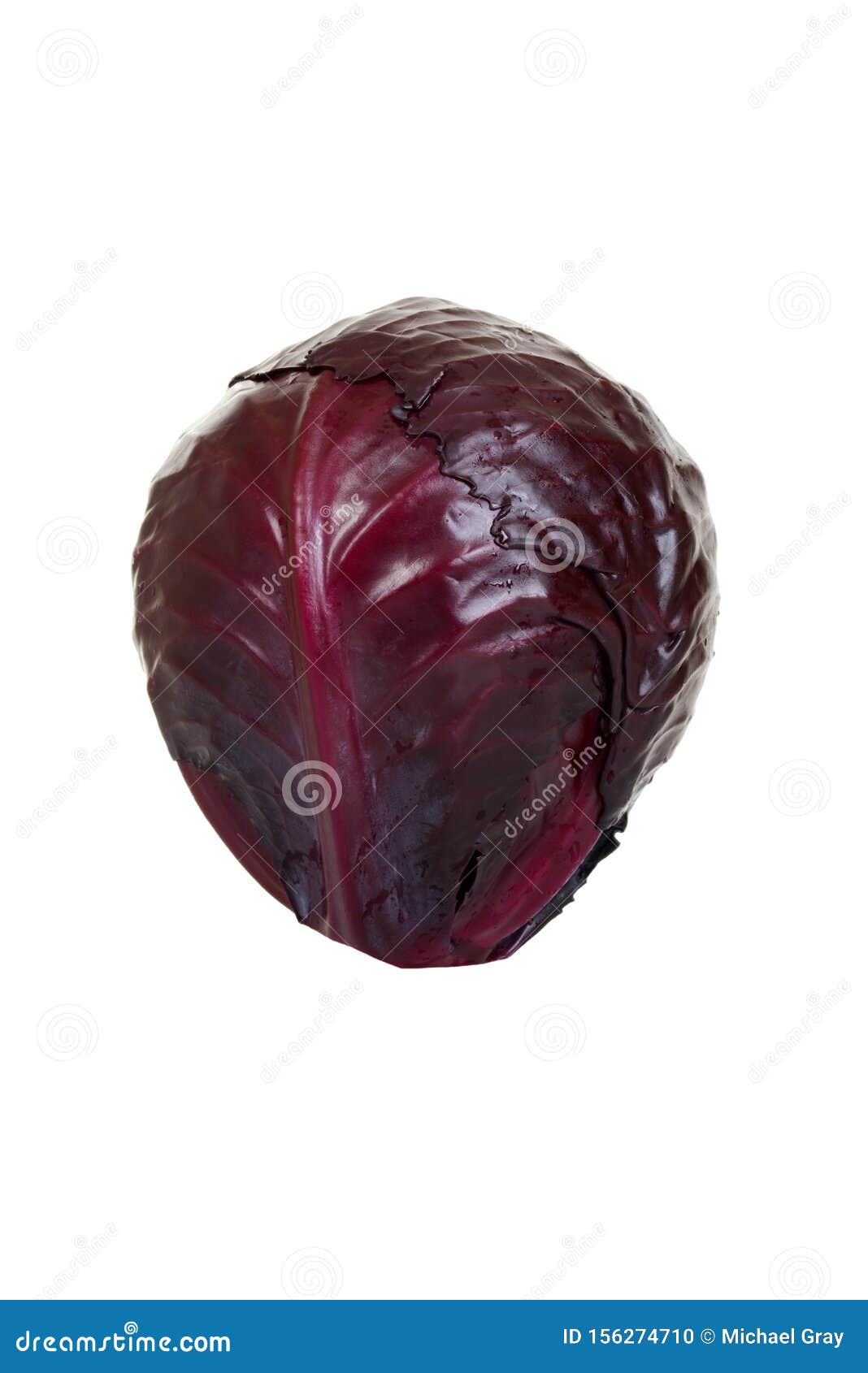 Repollo Rojo Completo Aislado Foto de archivo - Imagen de cosecha, sano ...