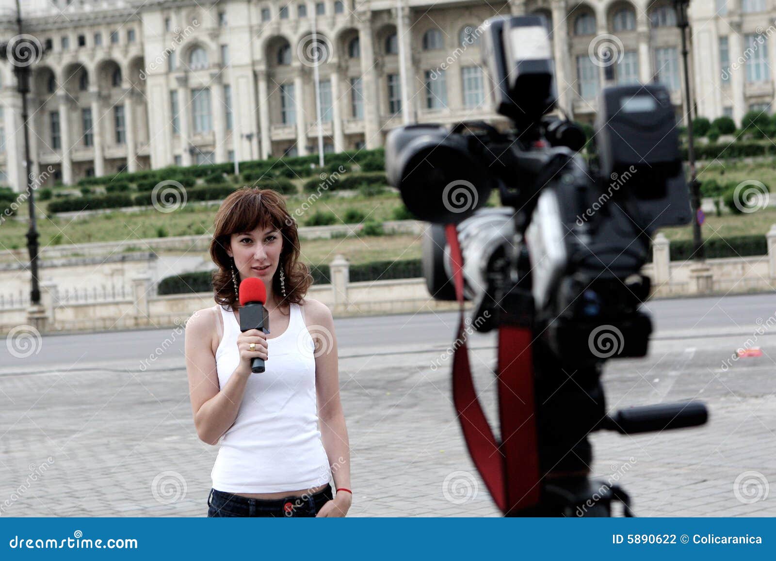 Reporter stock photo. Image of look, hair, autumn, journalism - 5890622
