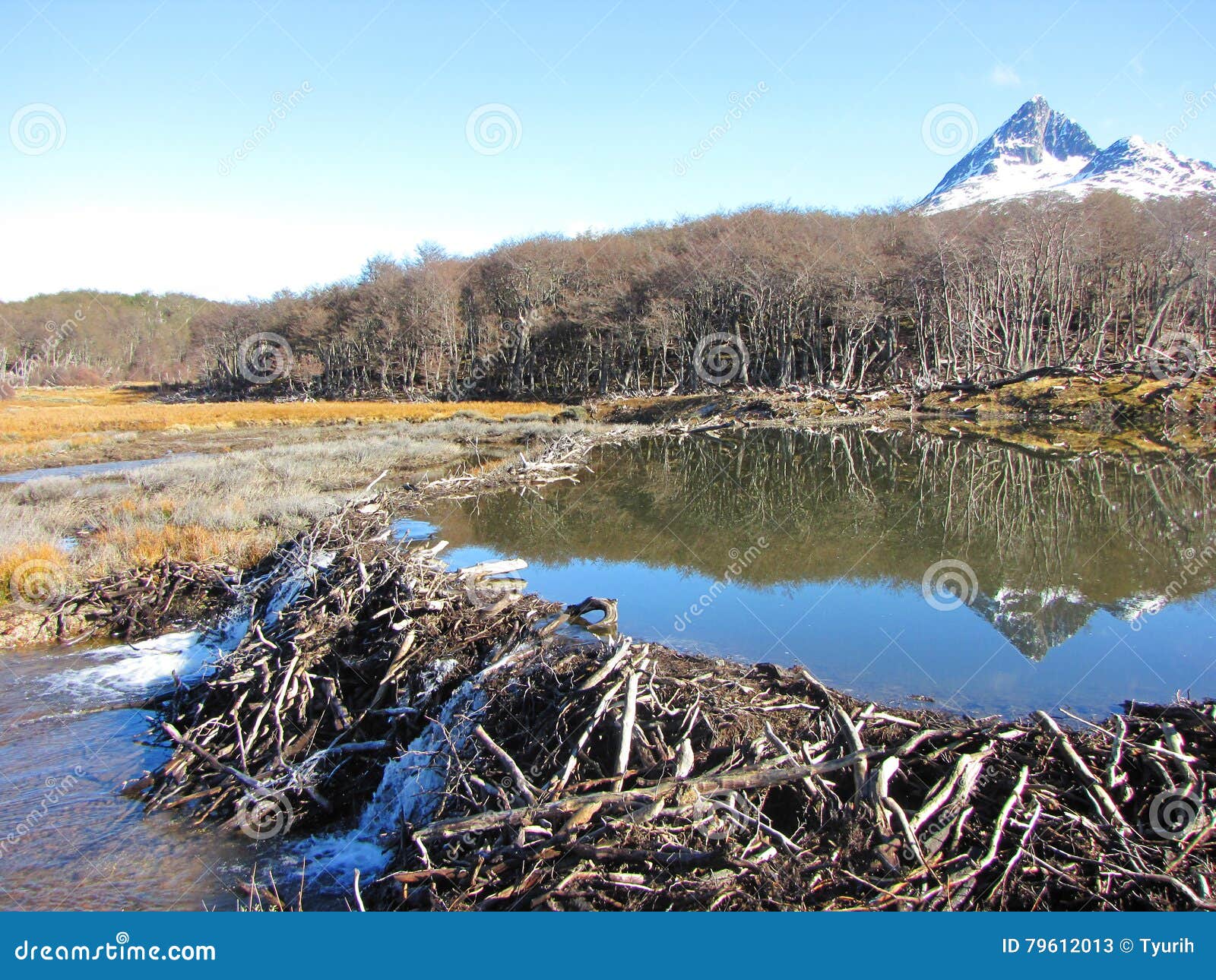 Represa Dos Castores - Ushuaia Imagem de Stock - Imagem de paisagem ...