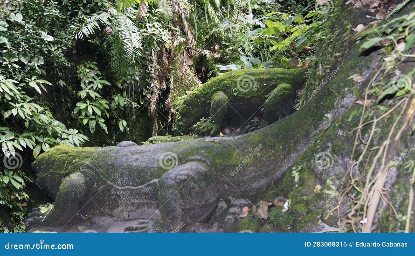 Agun Stock Photos - Free & Royalty-Free Stock Photos from Dreamstime