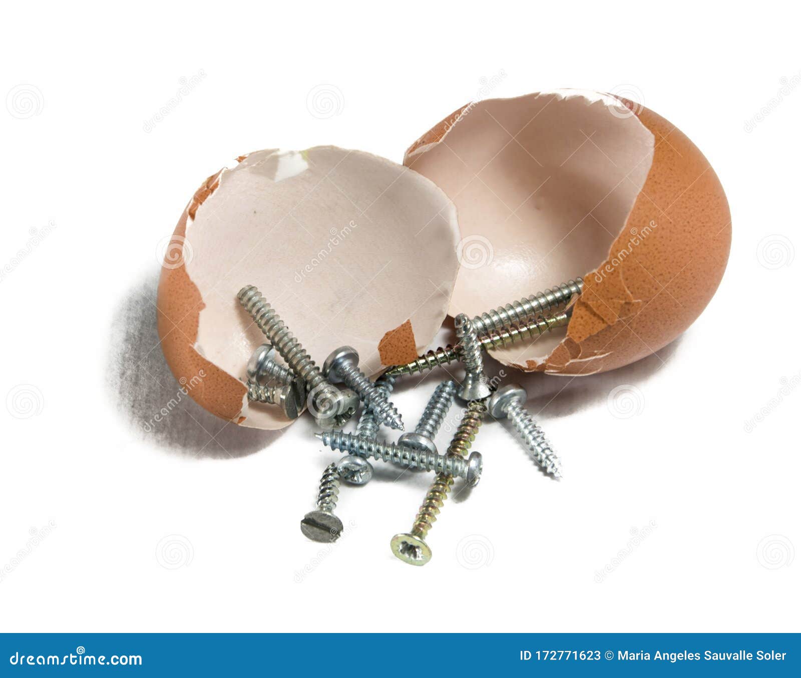 Egg with screws. stock image. Image of clustered, shells - 172771623