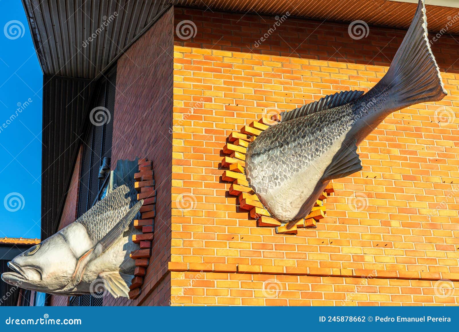 Representation of a Fish Entering and Exiting a Brick Wall. Stock Photo ...