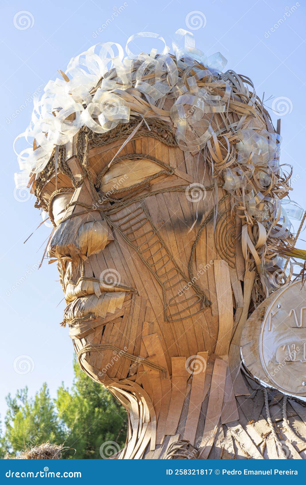 Representation of a Large Human Head Made from Pieces of Tree Bark ...