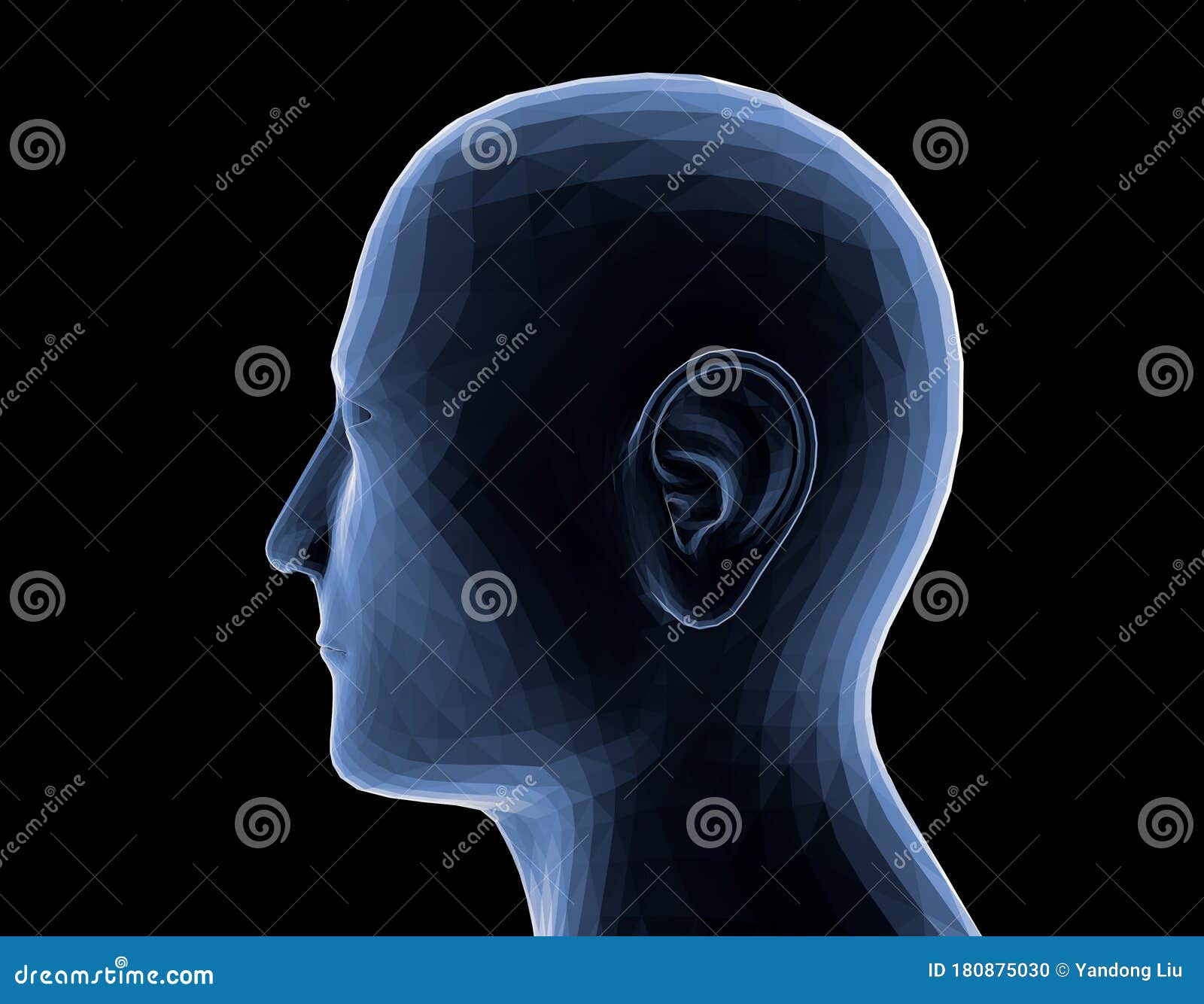 Future Technology Portraits, Holograms, Artificial Intelligence and ...