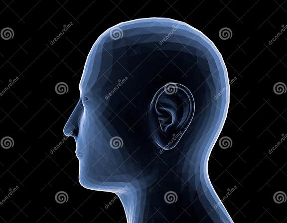 Future Technology Portraits, Holograms, Artificial Intelligence and ...