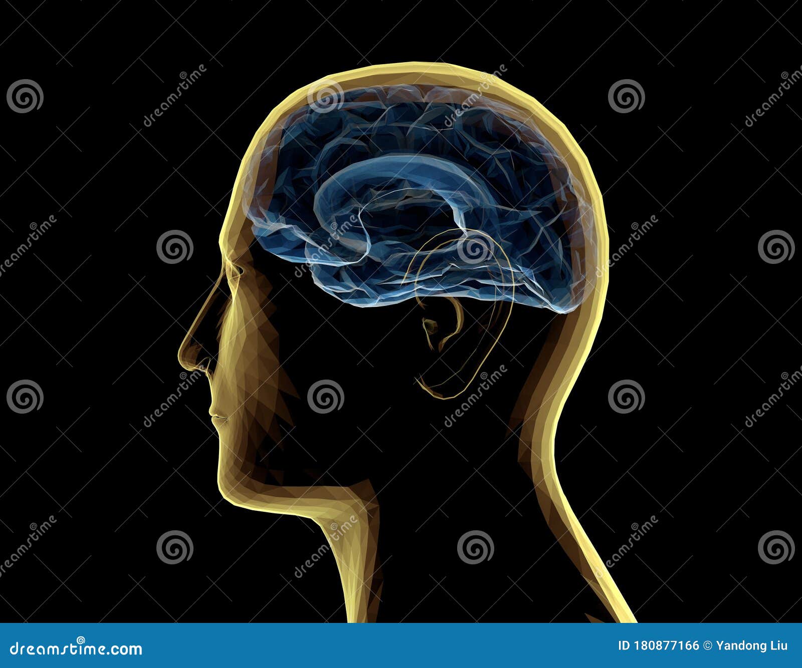 Future Technology Portraits, Holograms, Artificial Intelligence and ...