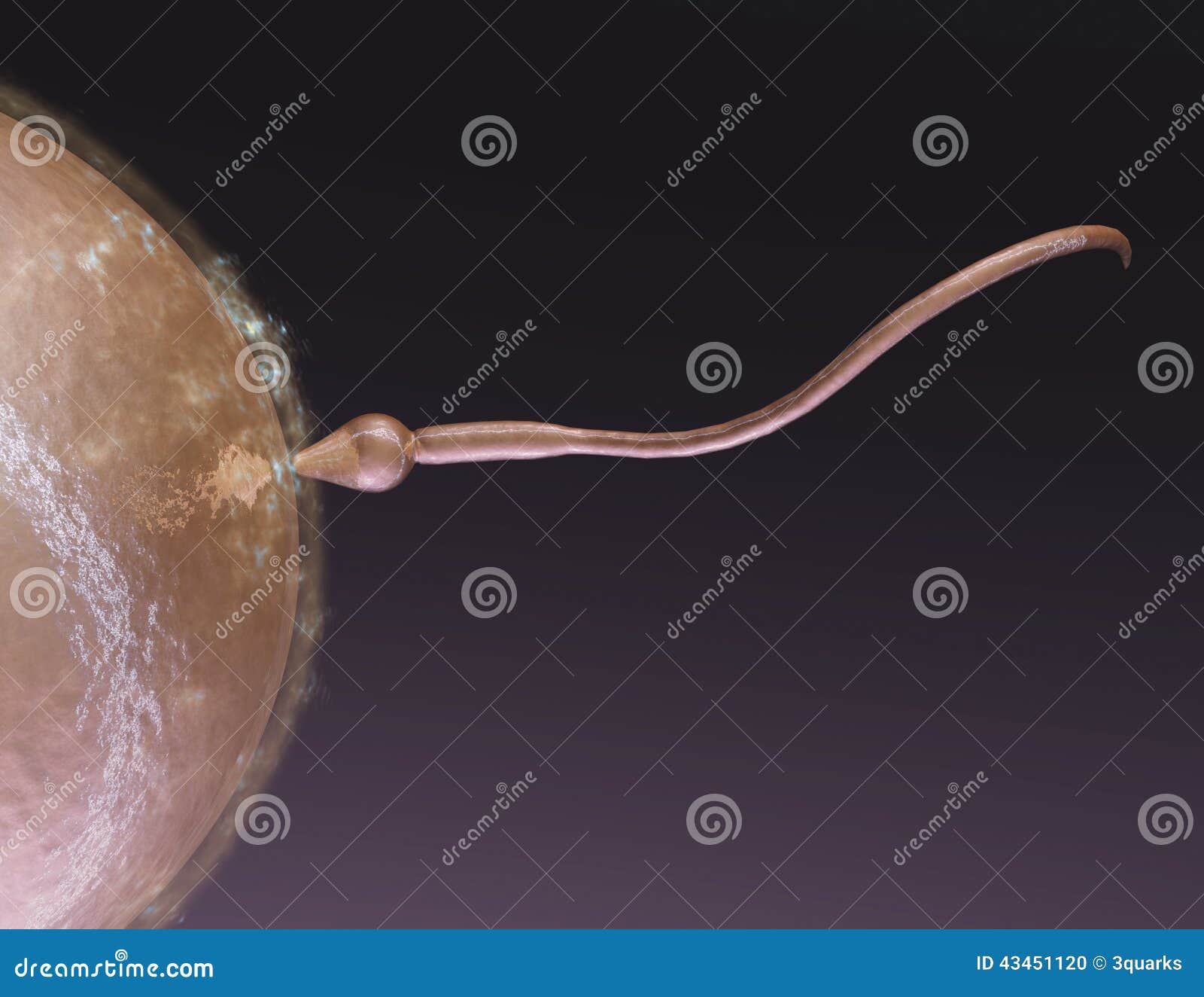 Reproduction stock illustration. Illustration of digital - 43451120