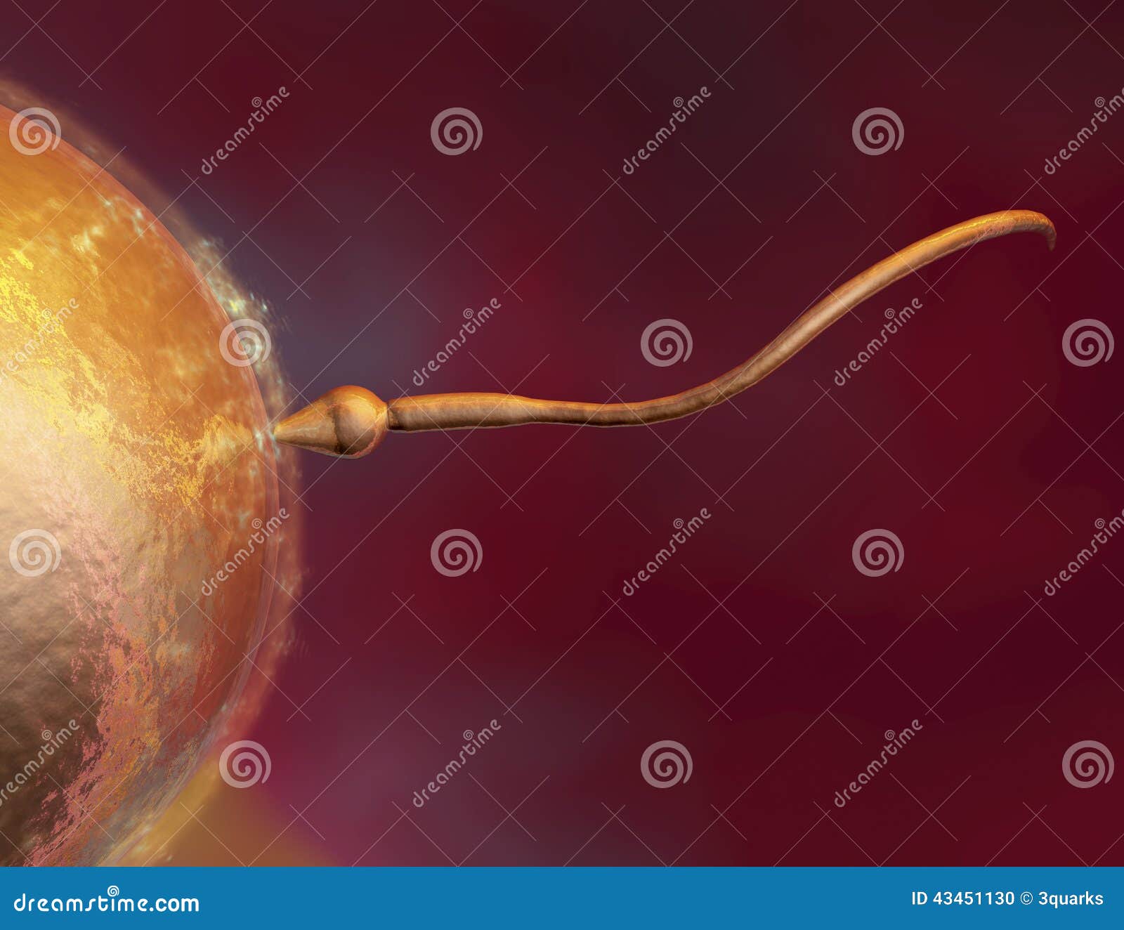 Reproduction stock illustration. Illustration of digital - 43451130