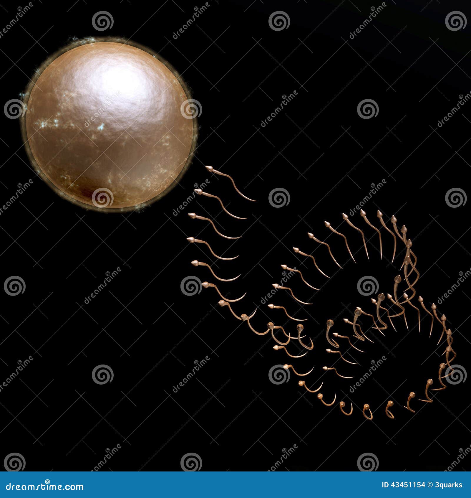 Reproduction stock illustration. Illustration of mating - 43451154