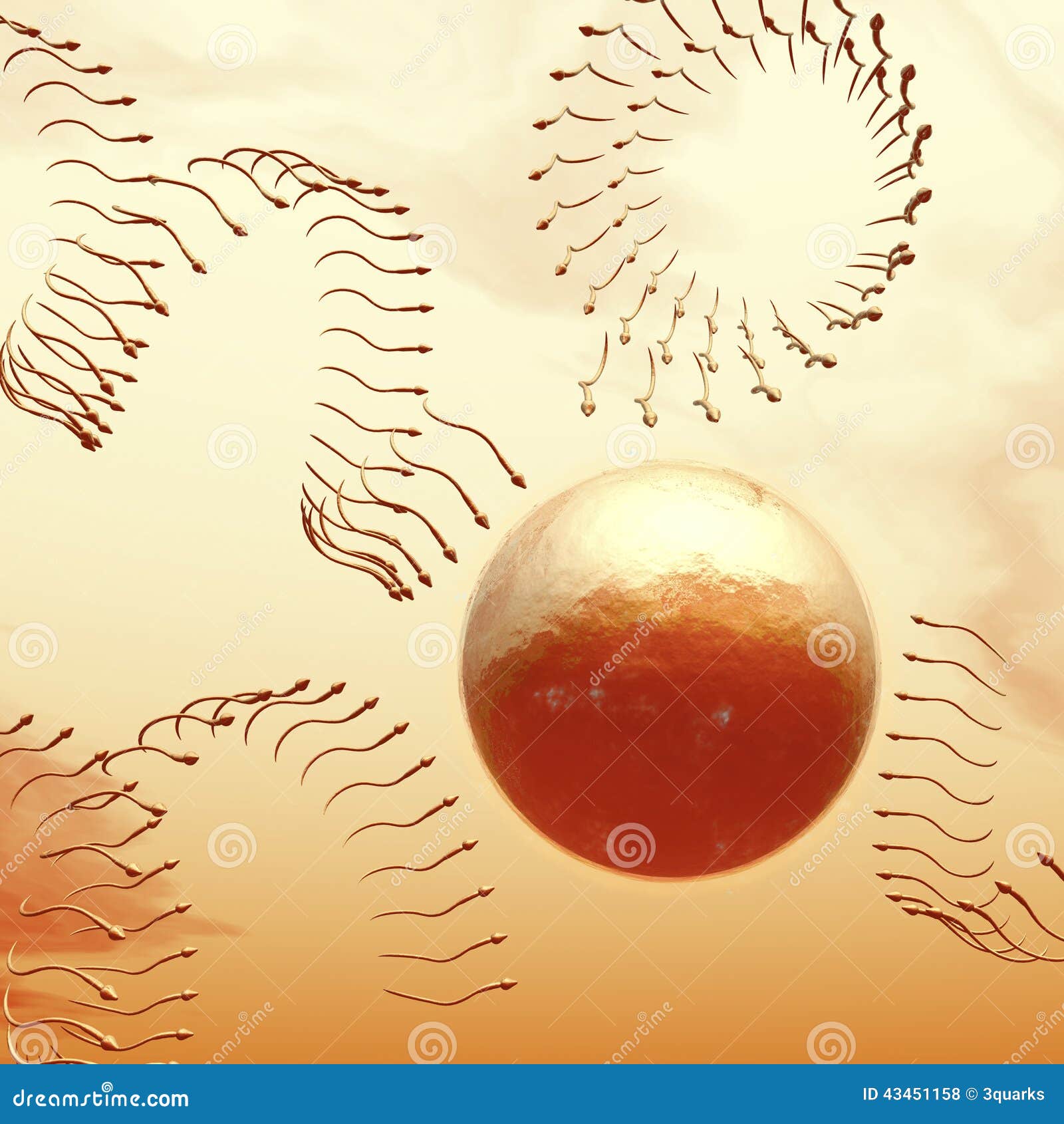 Reproduction stock illustration. Illustration of fertile - 43451158