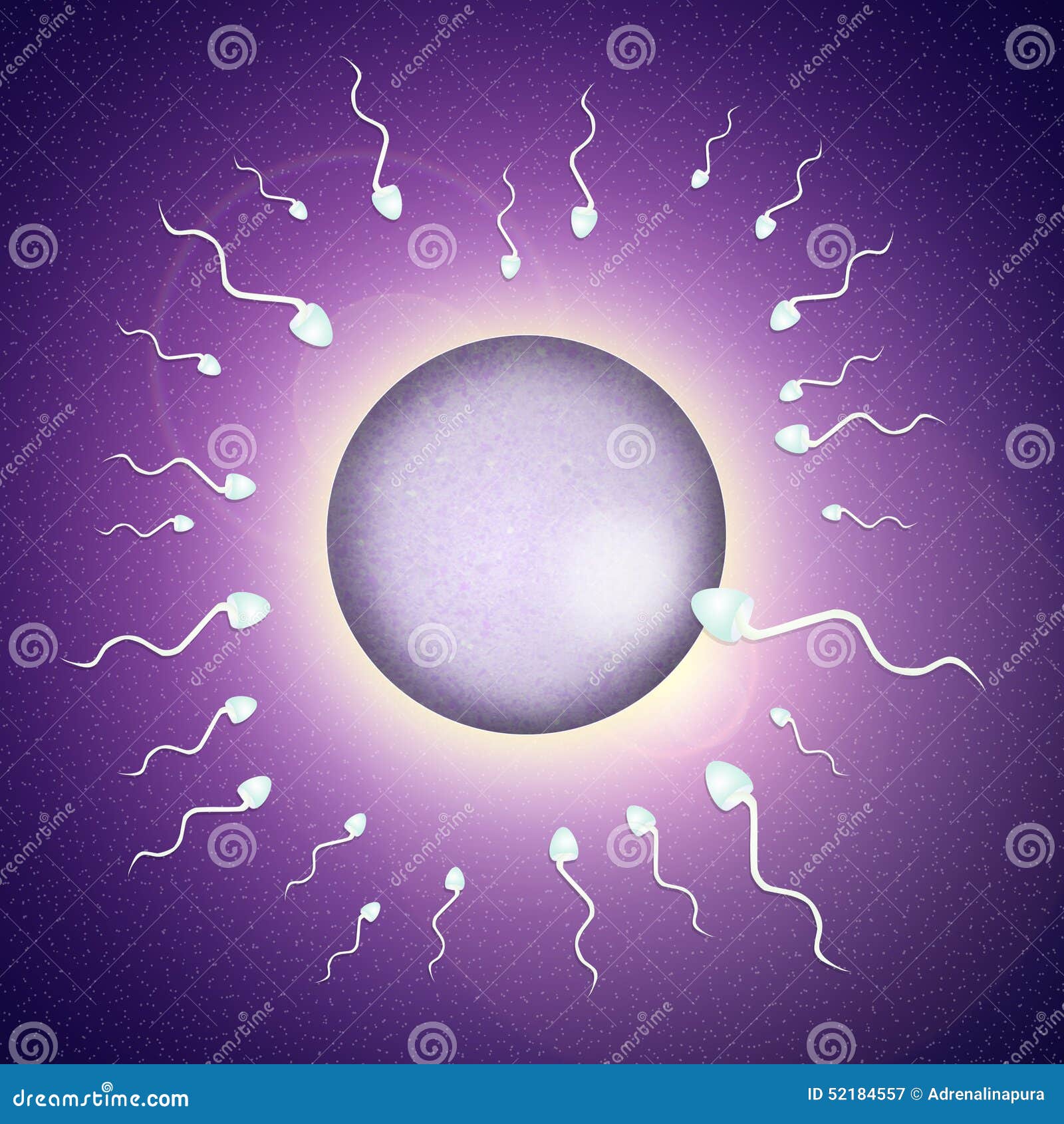Reproduction stock illustration. Illustration of reproductive - 52184557