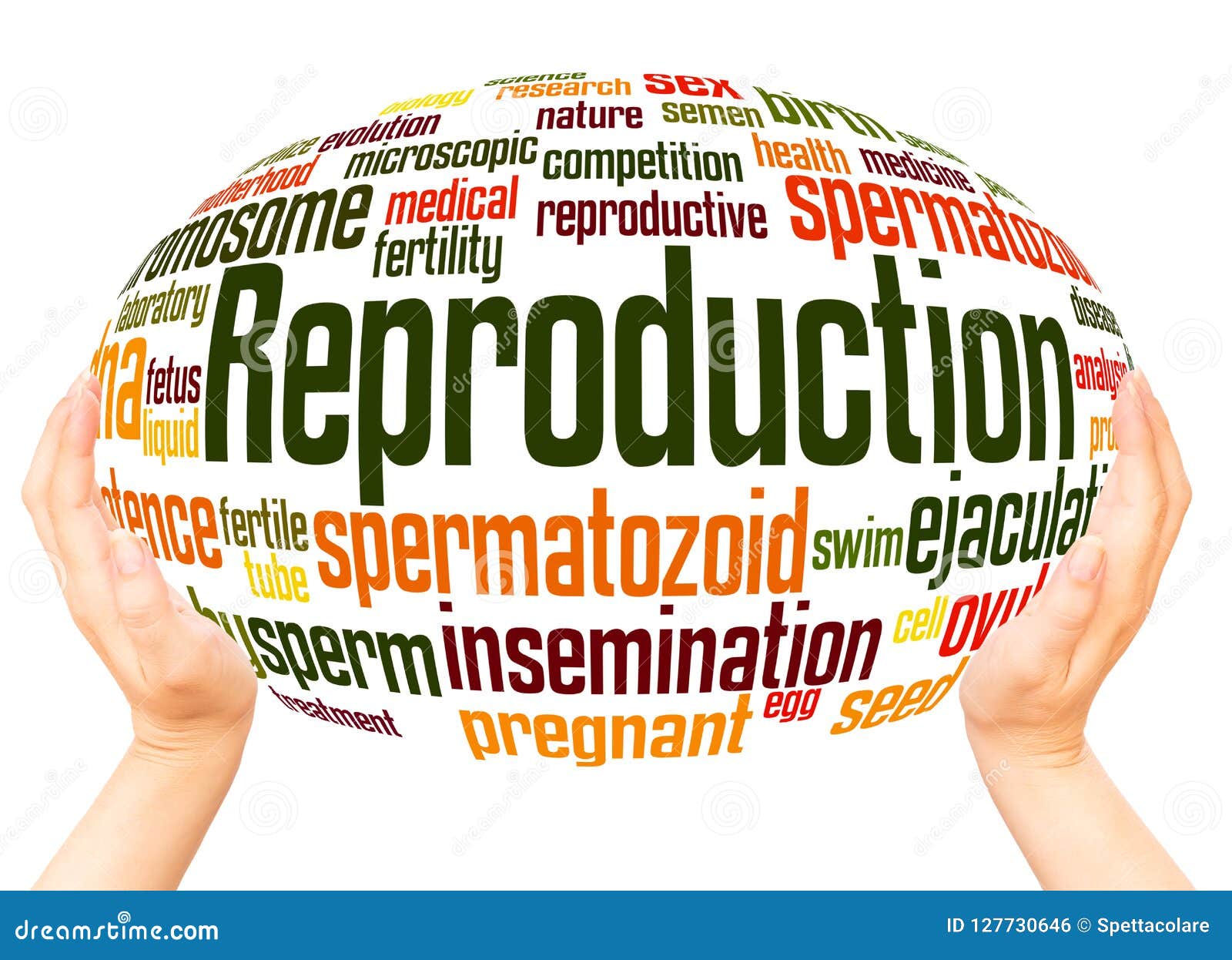 Reproduction Word Cloud Hand Sphere Concept Stock Photo - Image of ... Reproduction Word Cloud Hand Sphere Concept Stock Photo - Image of ...