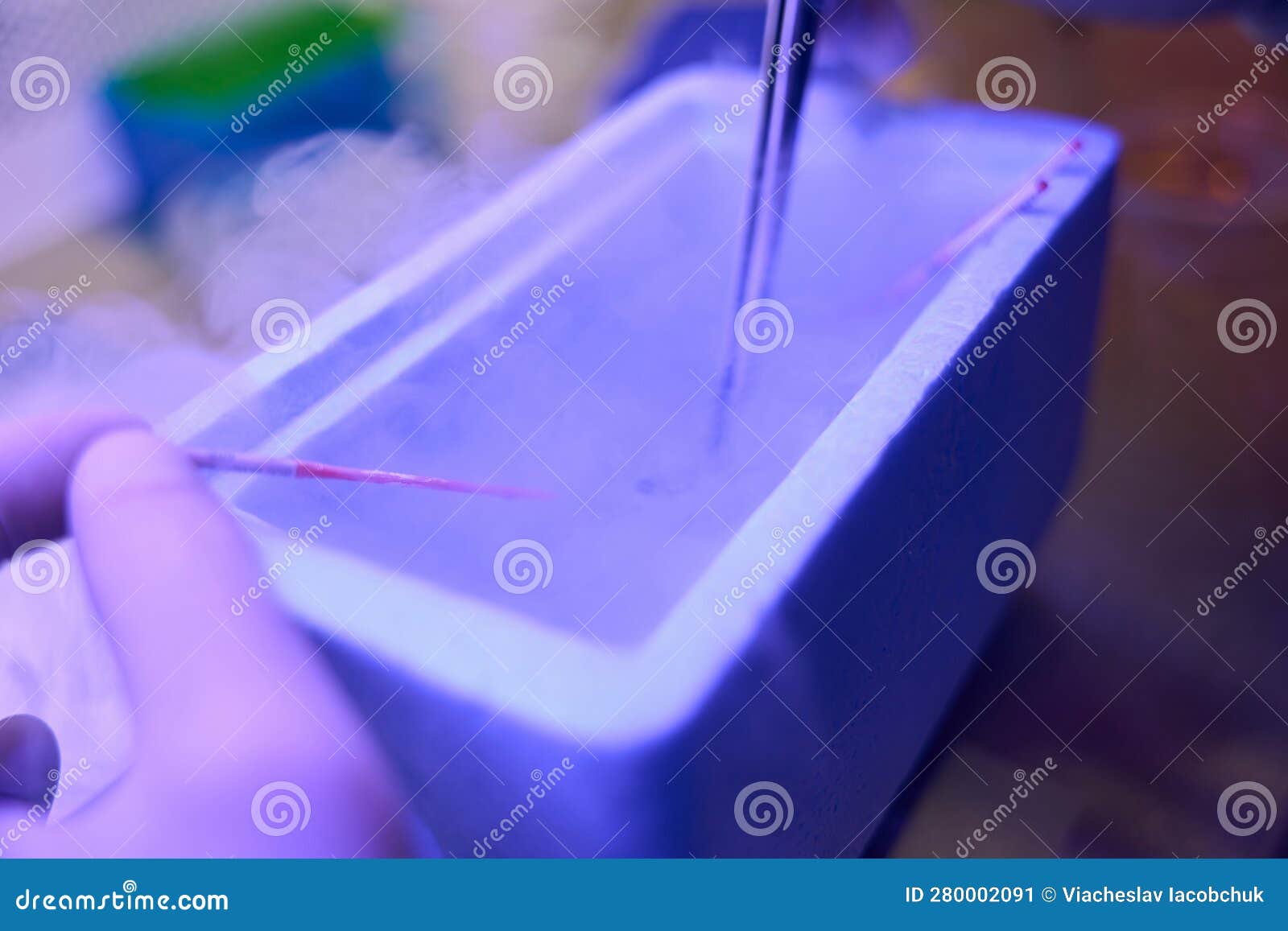 Reproductive Laboratory Worker Inserting Embryos from Tank with Liquid ...