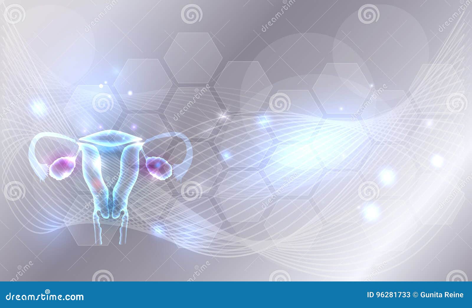 Reproductive Organs Background Stock Illustrations – 646 Reproductive ...