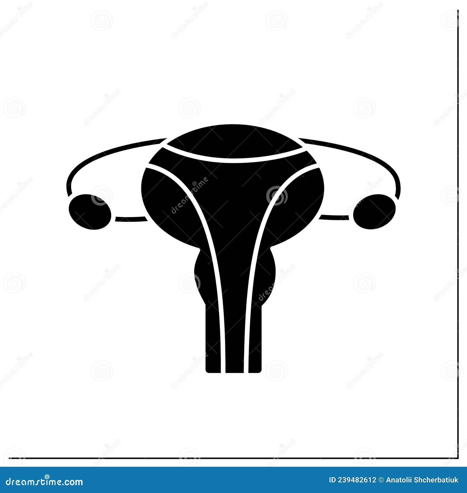 Uterus And Fallopian Tube Inside Woman Body Outline Icon Vector From