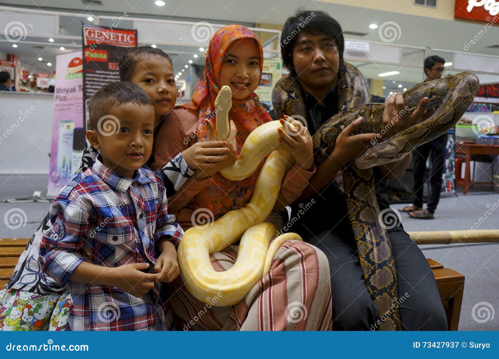 Reptile editorial photography. Image of central, java - 73427937