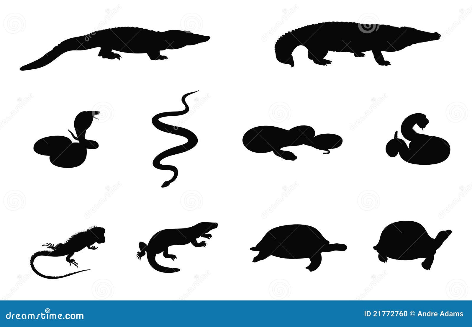 Reptile Silhouette Collection Stock Vector - Illustration of dragon ...