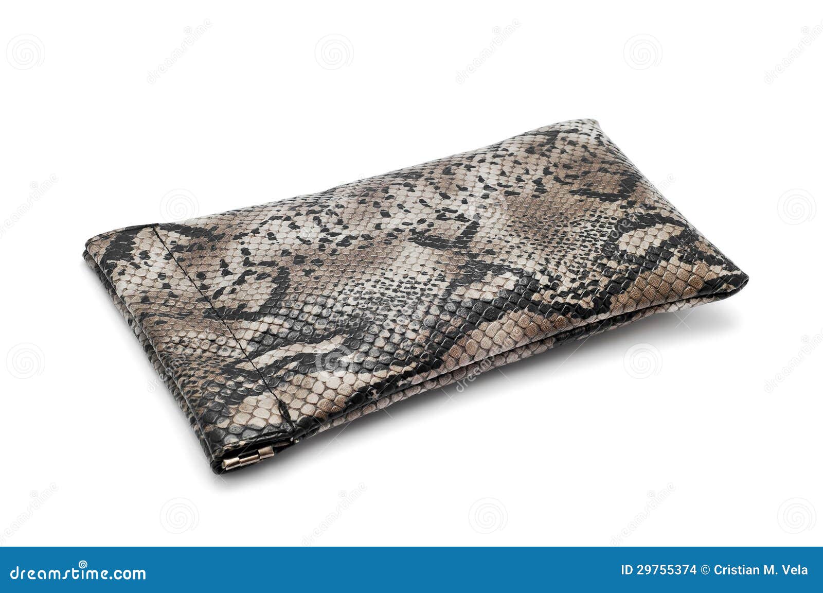 Pouch stock photo. Image of leather, pouch, snake, phone - 29755374
