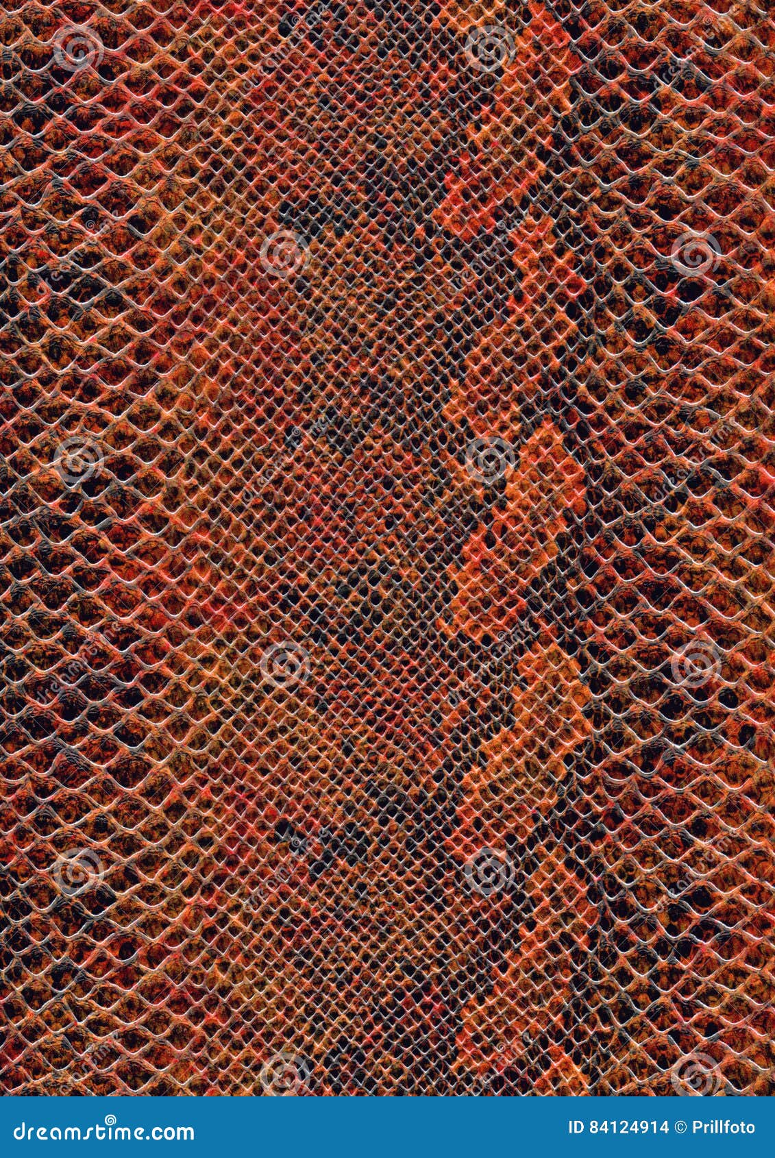Reptile skin surface stock photo. Image of macro, natural - 84124914