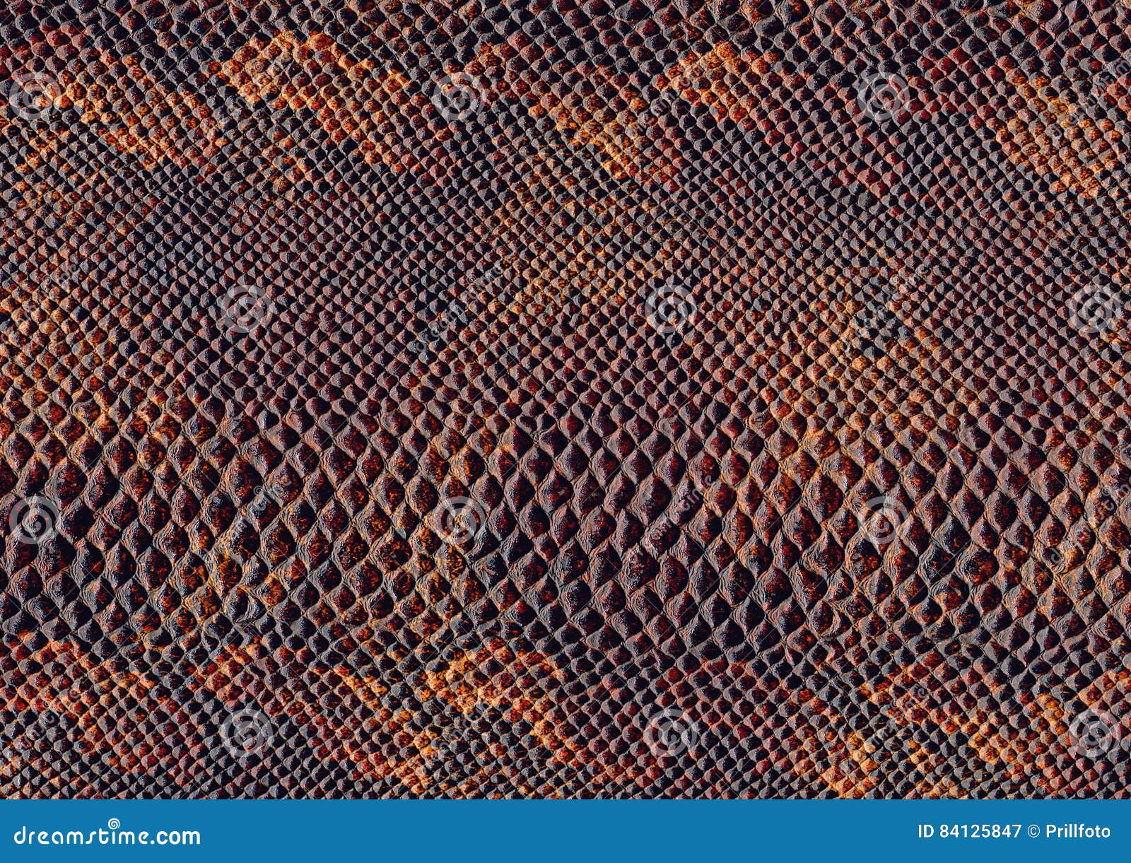Reptile skin surface stock image. Image of design, abstract - 84125847