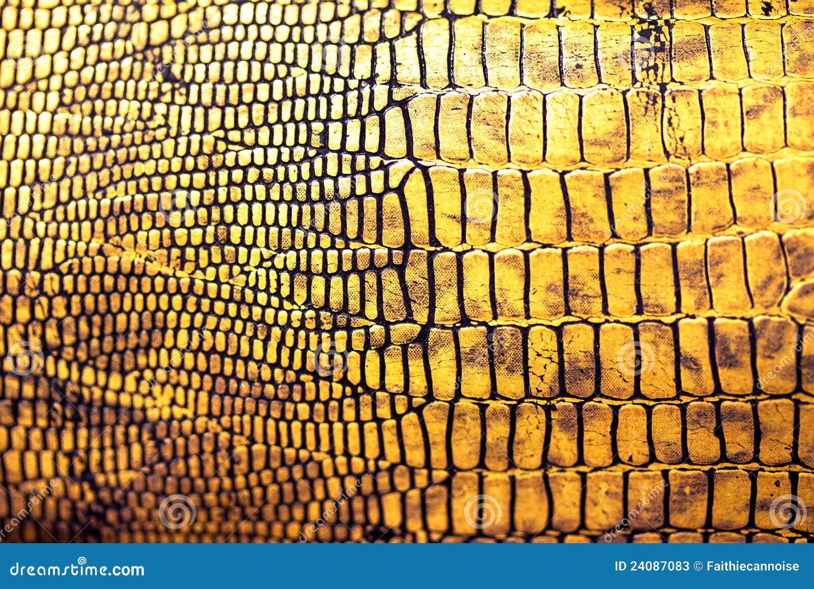 Reptile Skin Texture/background Stock Image - Image of reptile, pattern ...