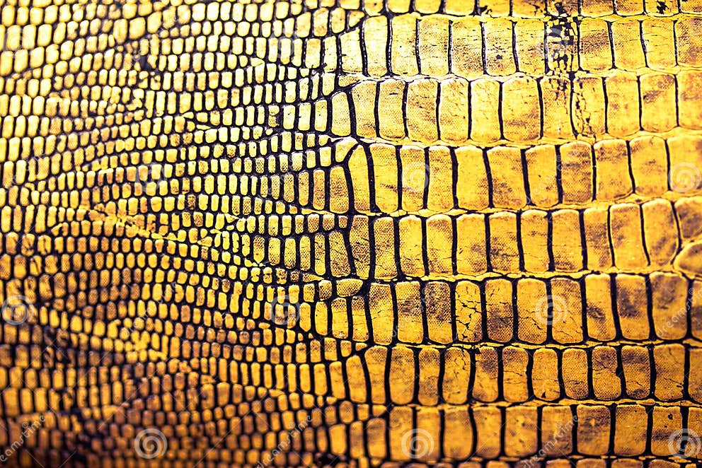 Reptile Skin Texture/background Stock Image - Image of reptile, pattern ...
