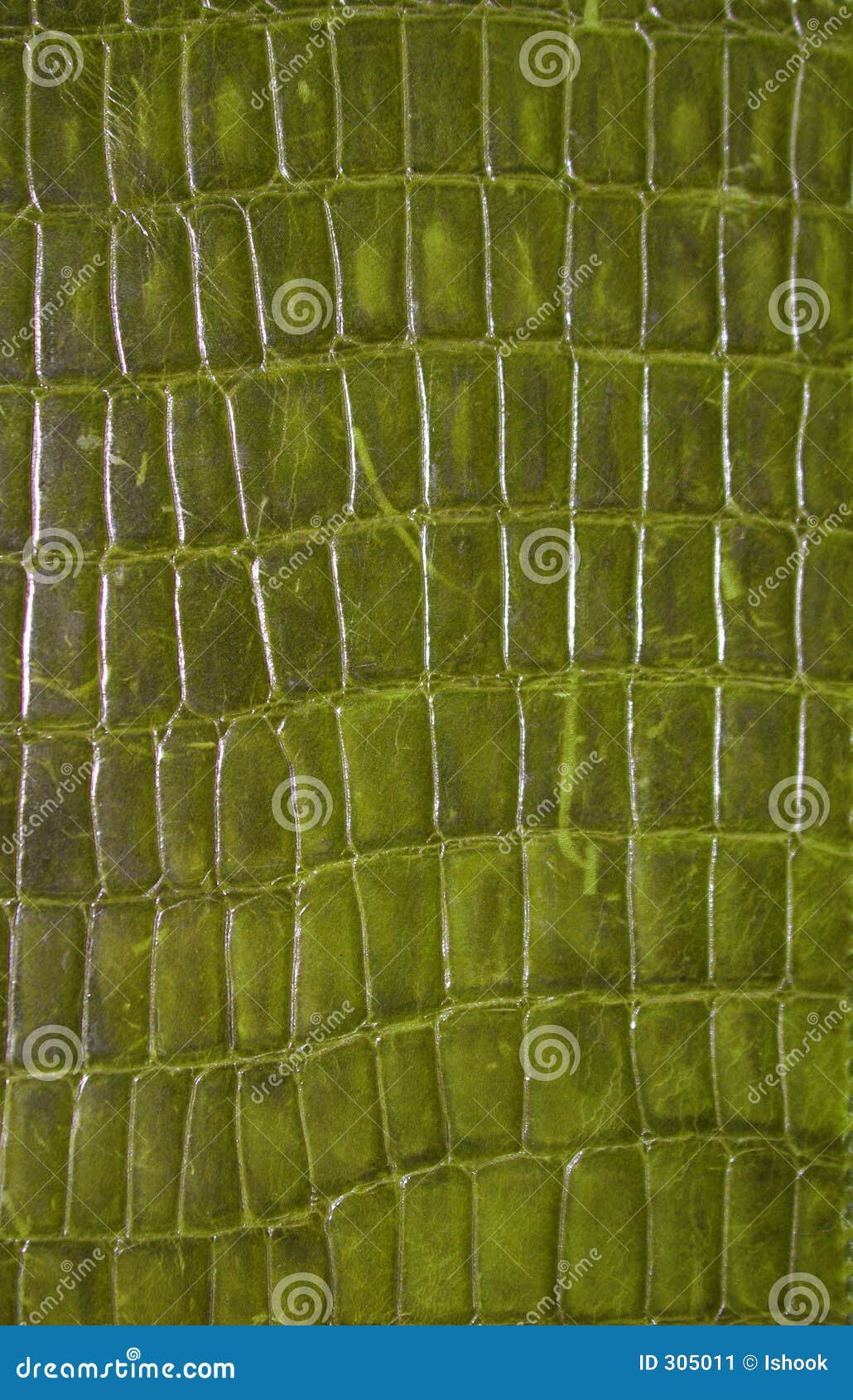 Reptile Texture stock image. Image of pattern, snake, reptile - 305011