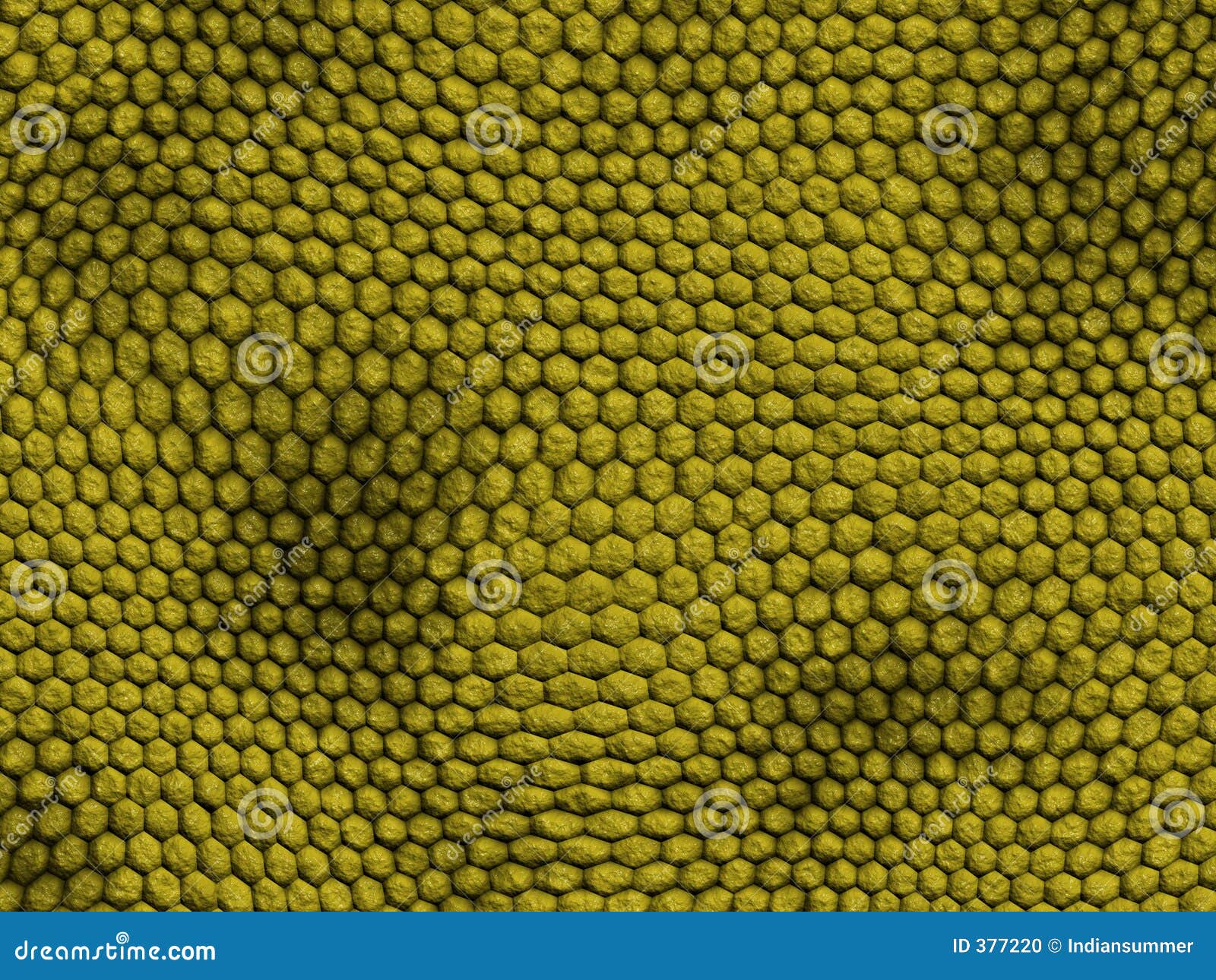 Reptile texture - rough stock illustration. Illustration of jacket - 377220