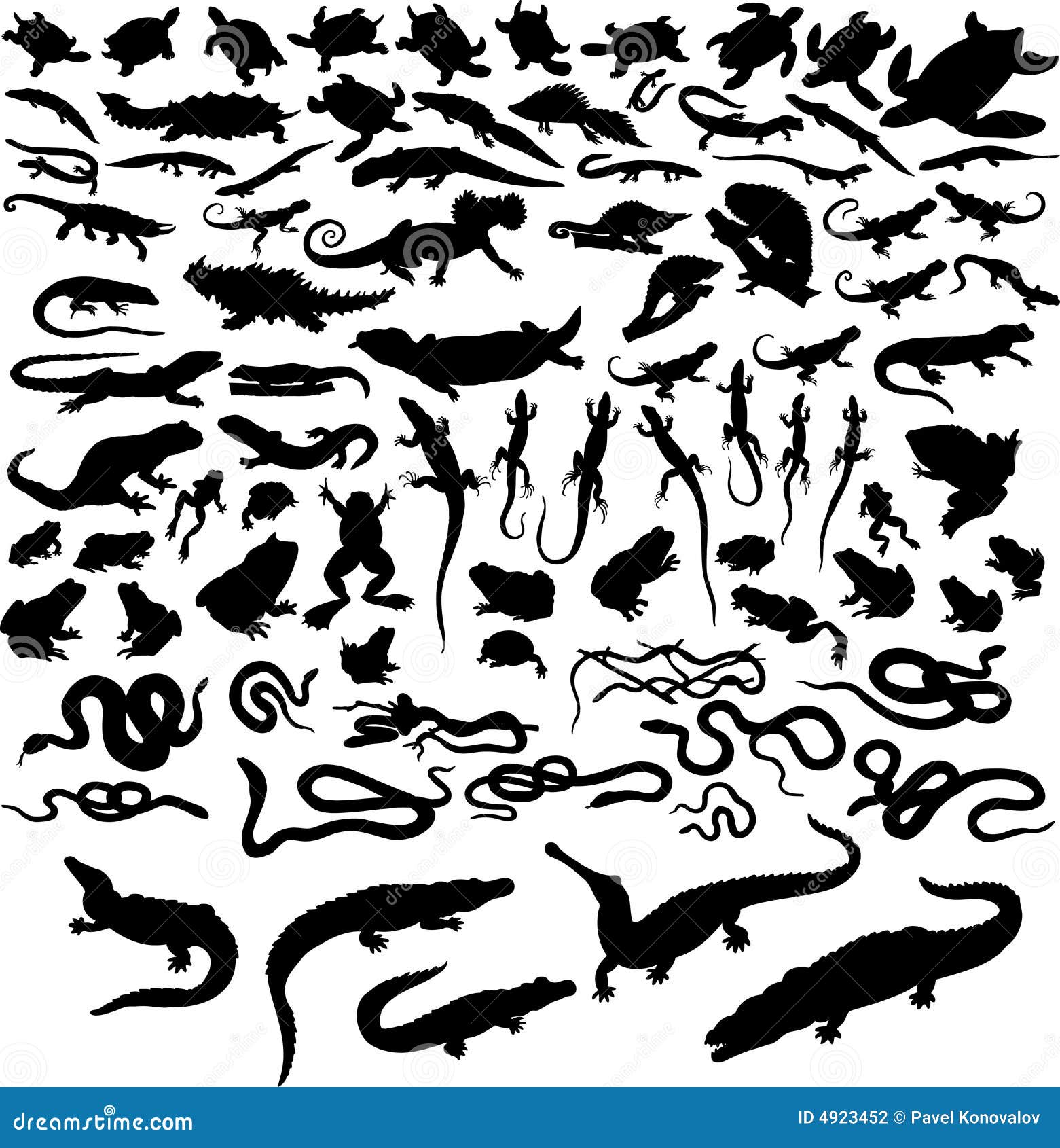 Reptiles stock vector. Illustration of isolated, clip - 4923452