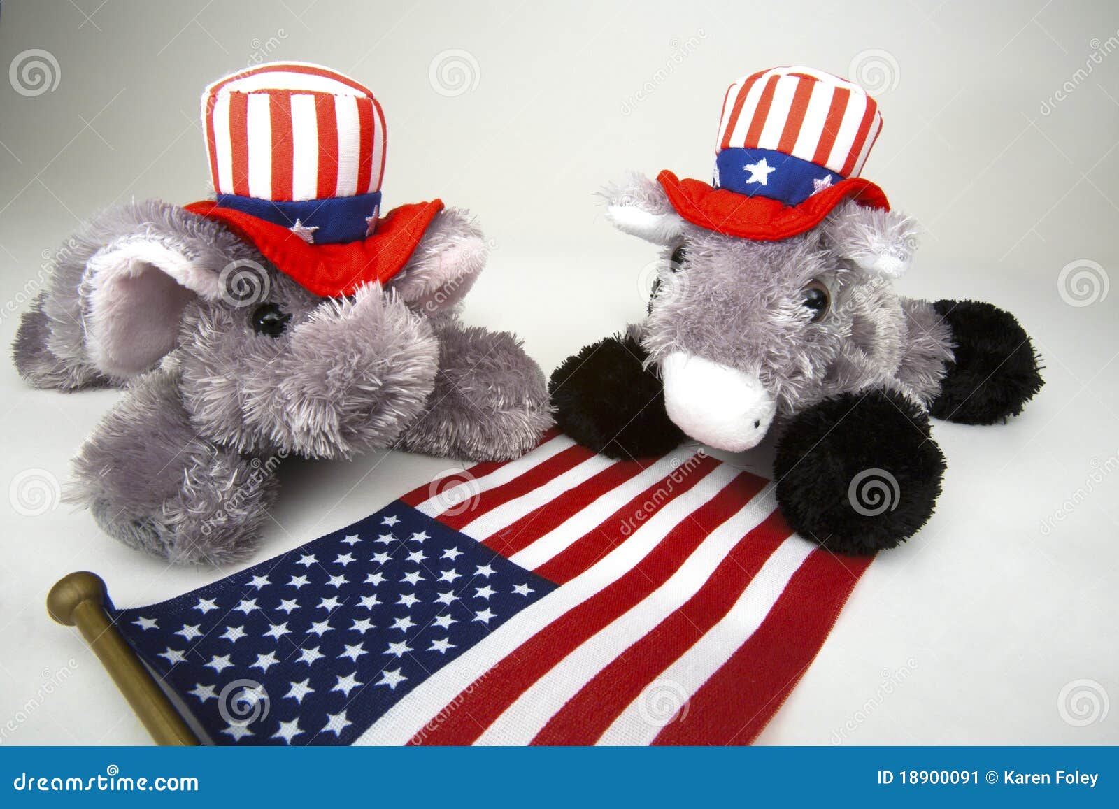 Republican and Democrat editorial photo. Image of issues - 18900091