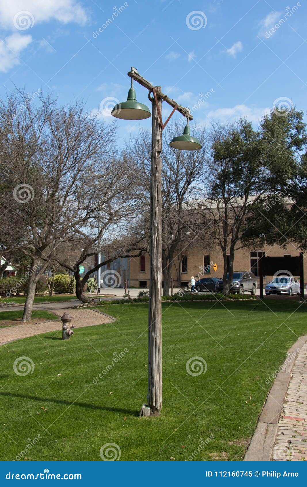 Lamp Post that Was Once a Tree Stock Image - Image of outdoor ...