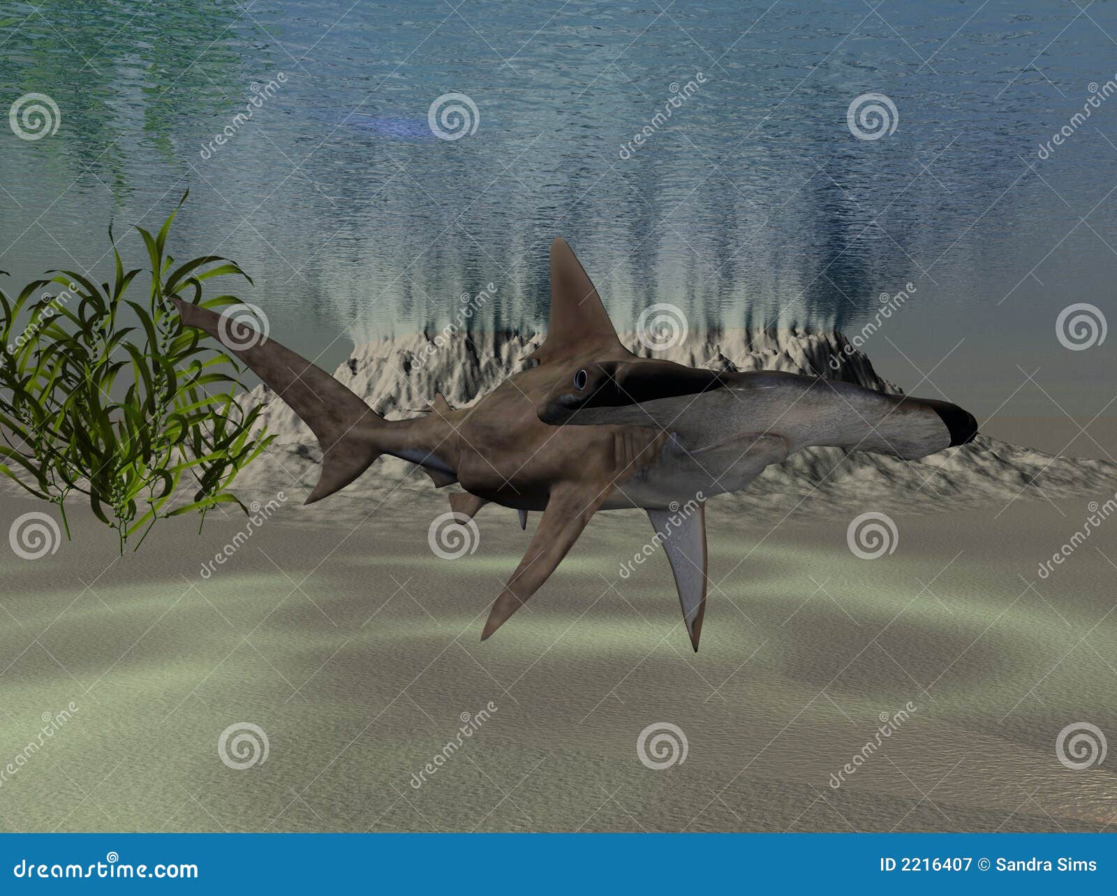 Requin de poisson-marteau illustration stock. Illustration du poissons ...