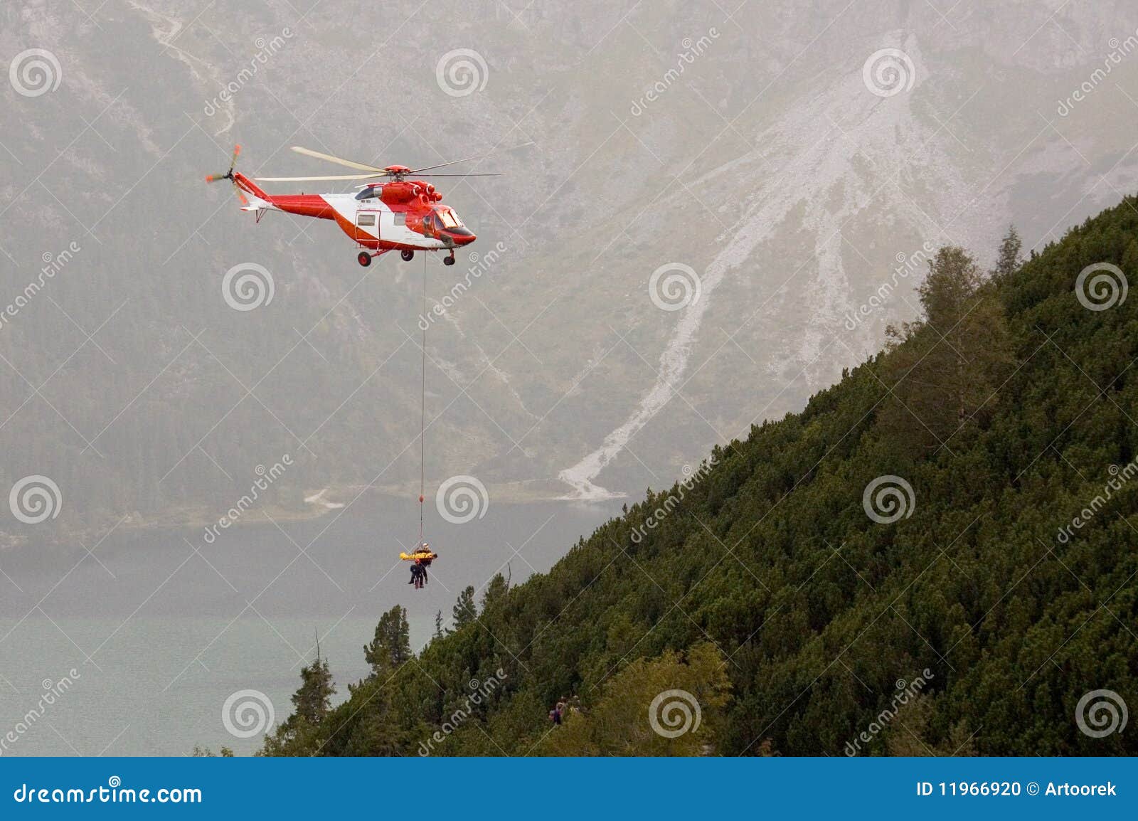 Rescue action stock photo. Image of cooperate, danger - 11966920