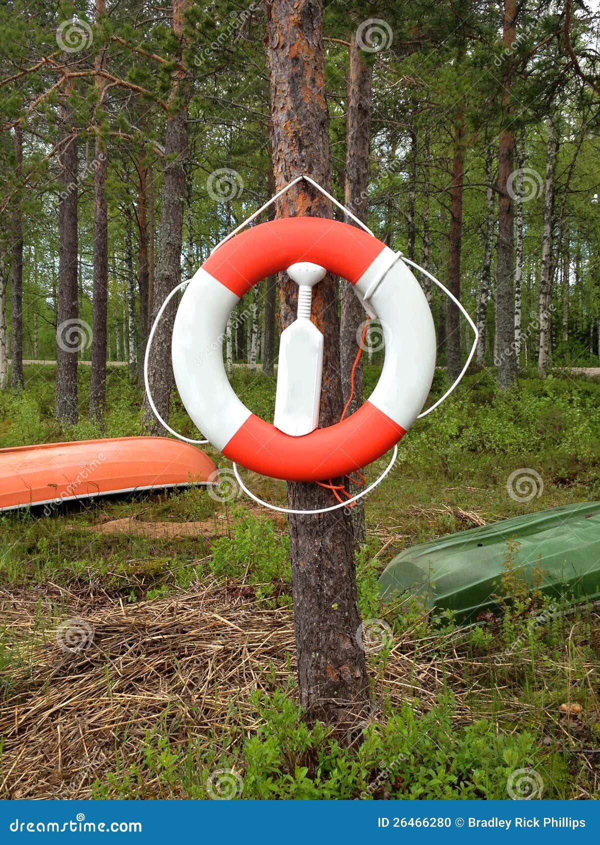 Rescue buoy stock photo. Image of buoy, white, danger - 26466280