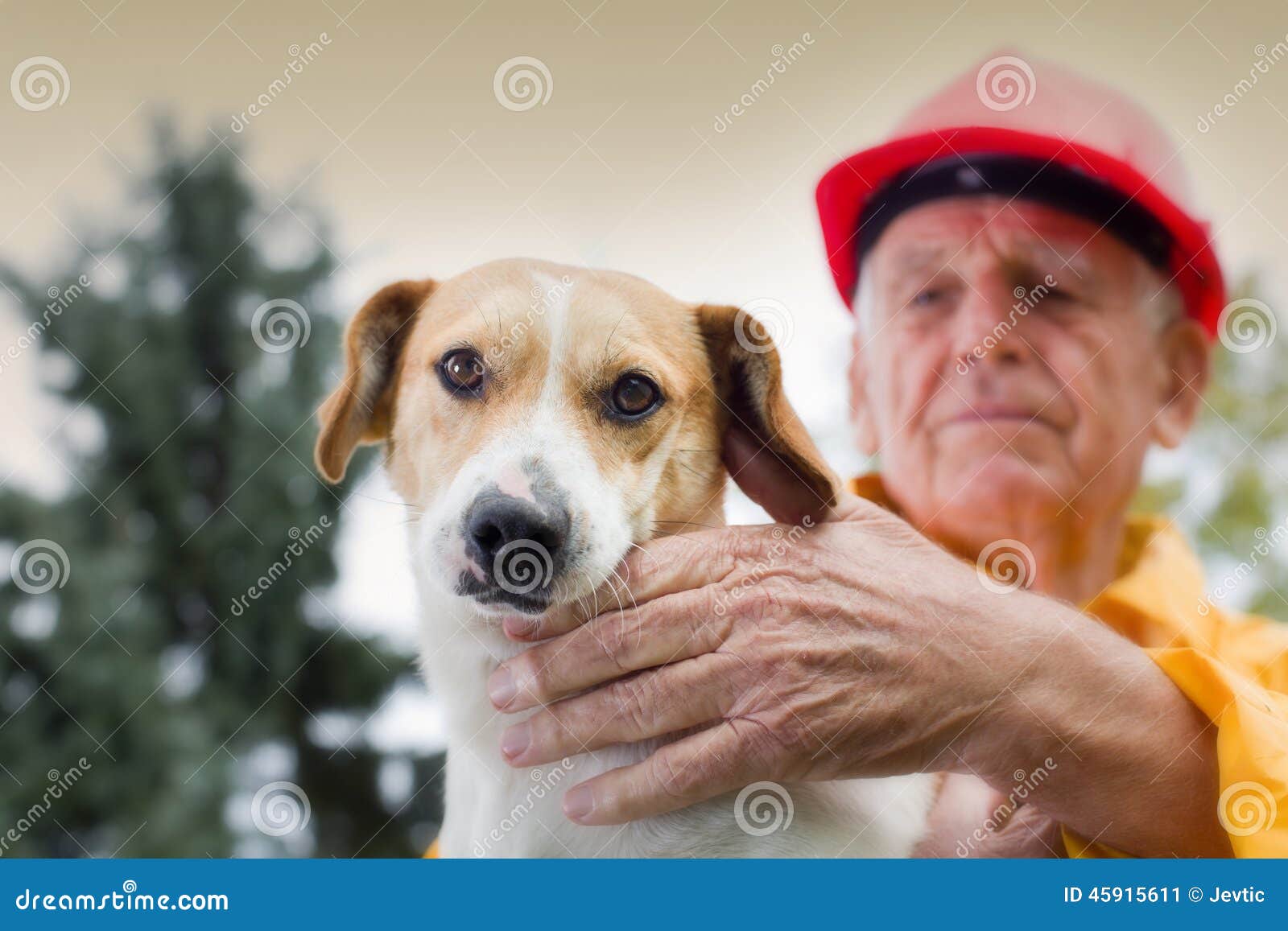 Rescuing dog stock image. Image of helper, safety, love - 45915611