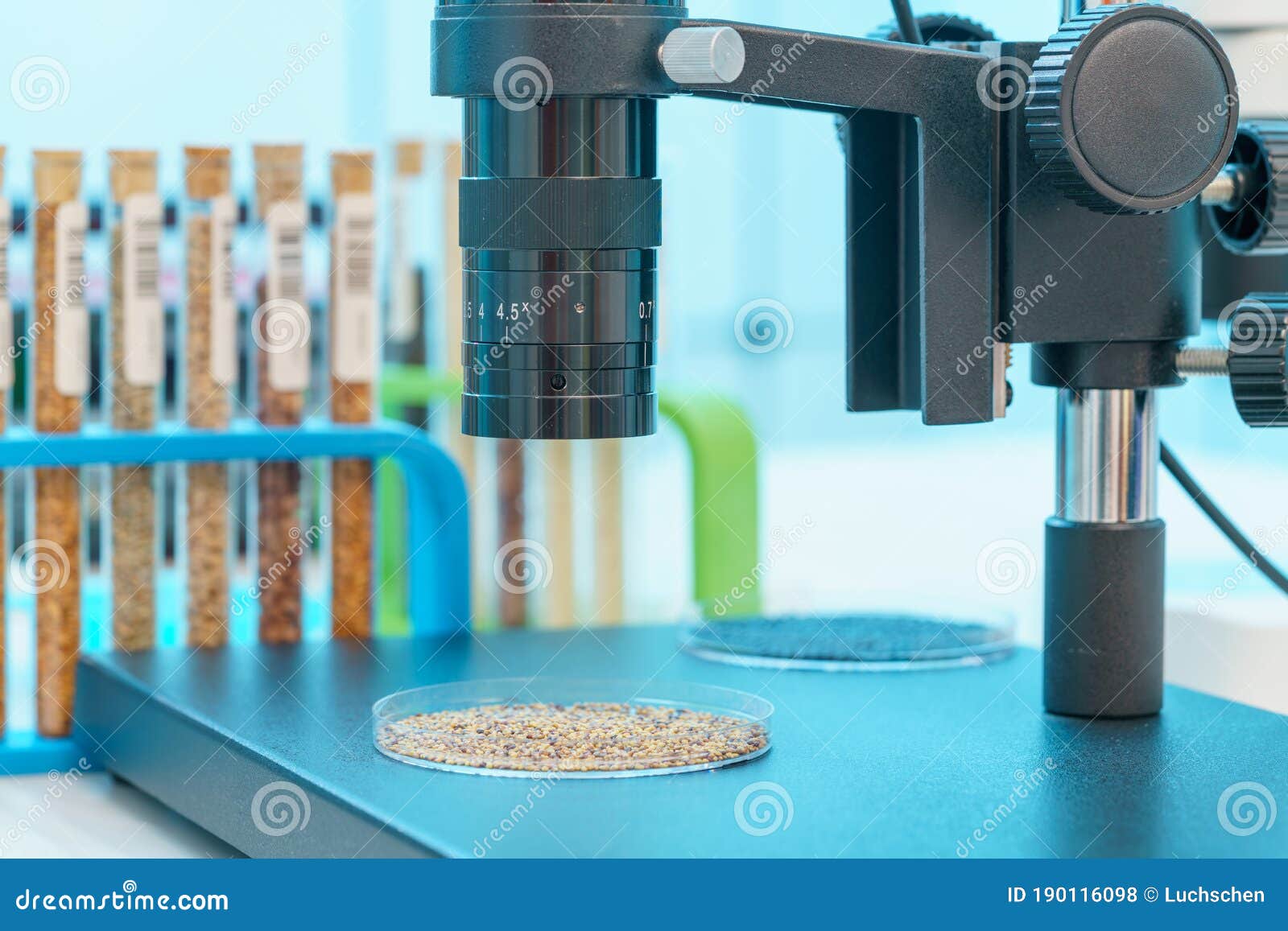 Research Analyzing Agricultural Grains and Seeds in the Laboratory ...