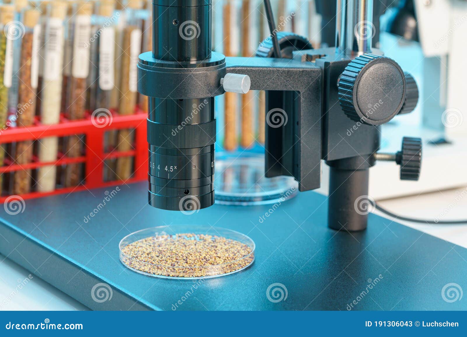 Research Analyzing Agricultural Grains and Seeds in the Laboratory ...