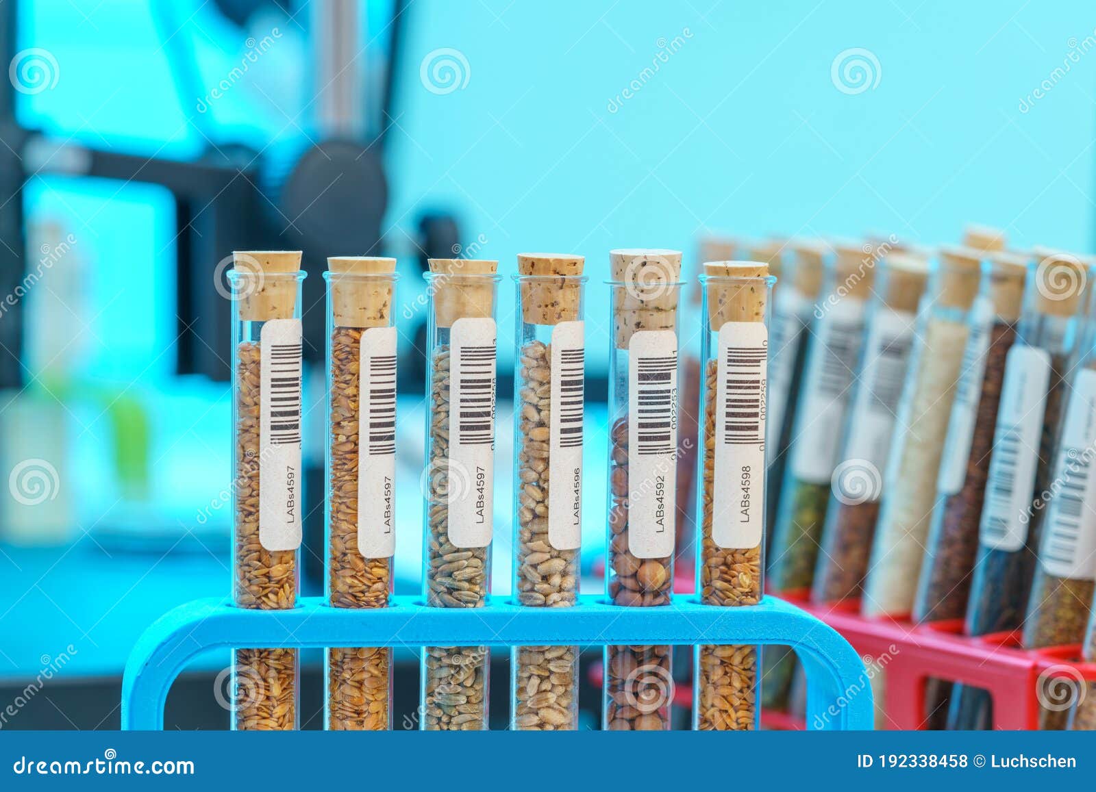 Research Analyzing Agricultural Grains and Seeds in the Laboratory ...