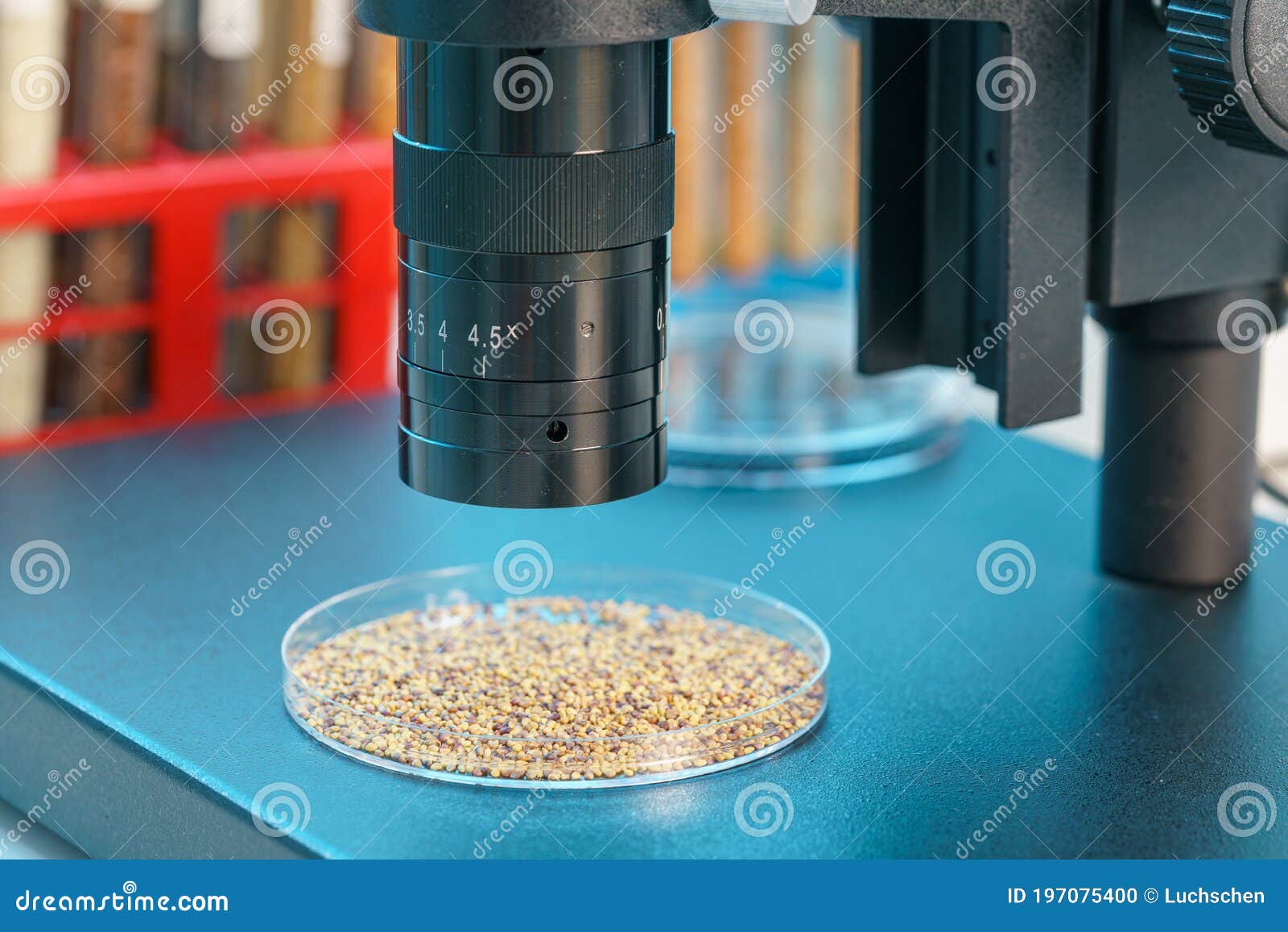 Research Analyzing Agricultural Grains and Seeds in the Laboratory ...
