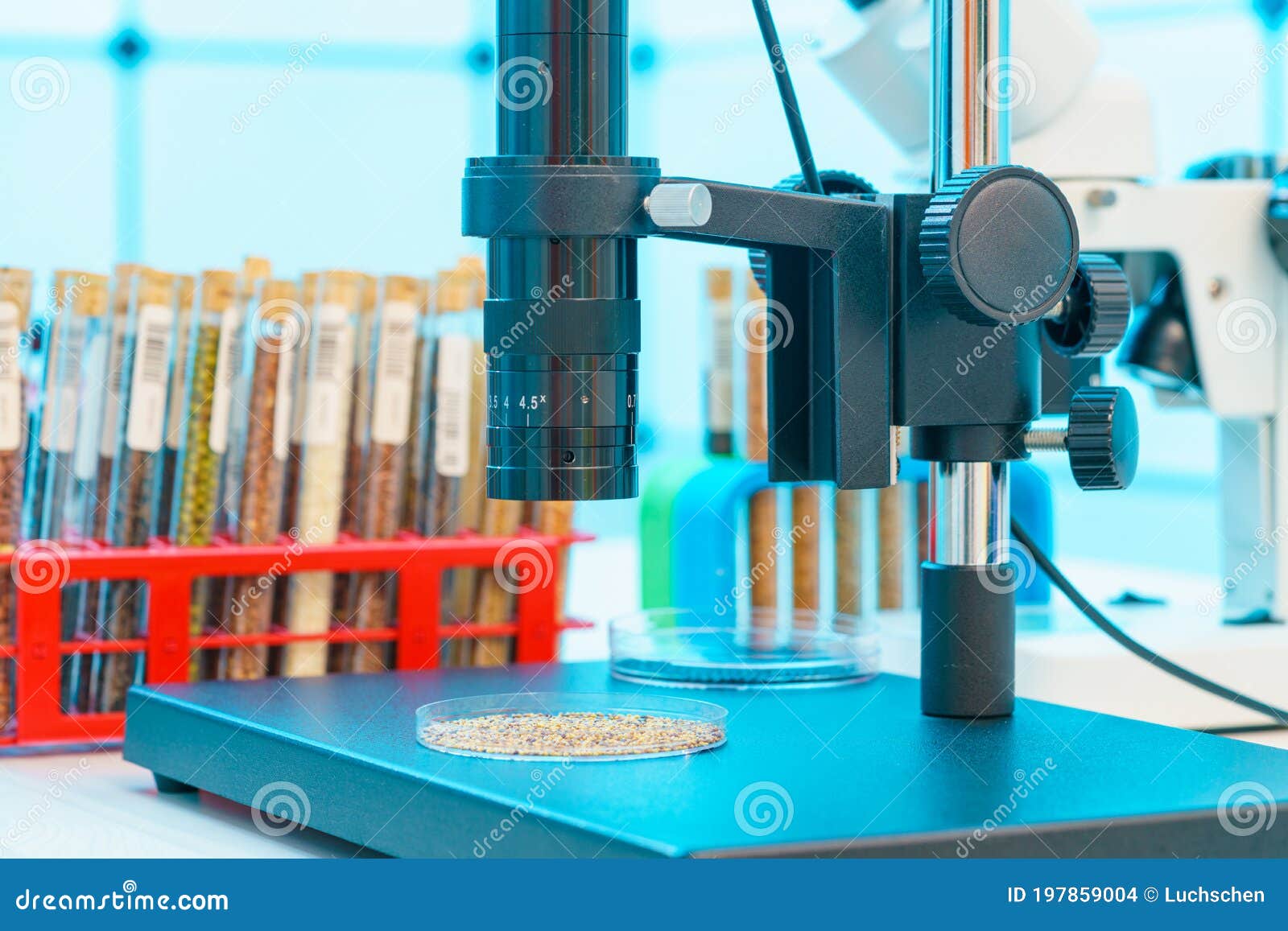 Research Analyzing Agricultural Grains and Seeds in the Laboratory ...