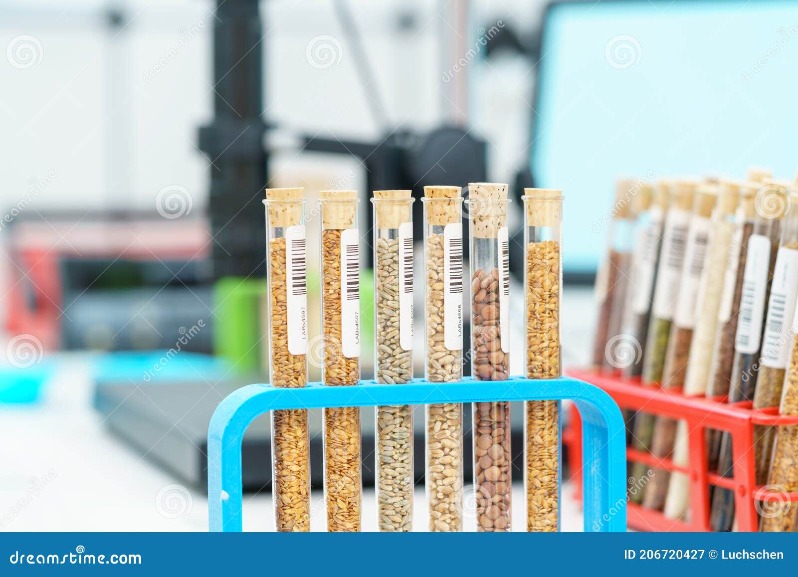 Research Analyzing Agricultural Grains and Seeds in the Laboratory ...