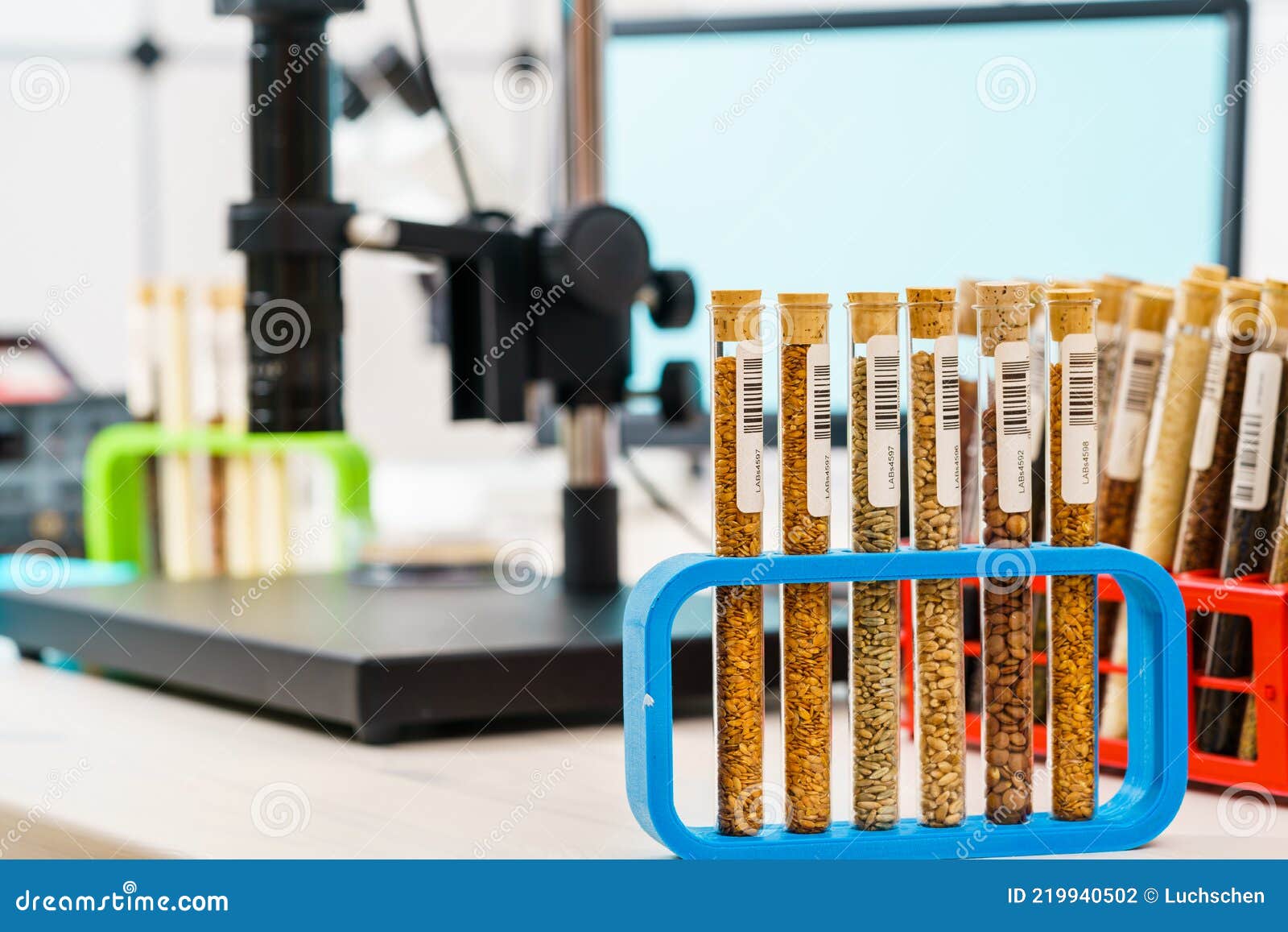 Research Analyzing Agricultural Grains and Seeds in the Laboratory ...