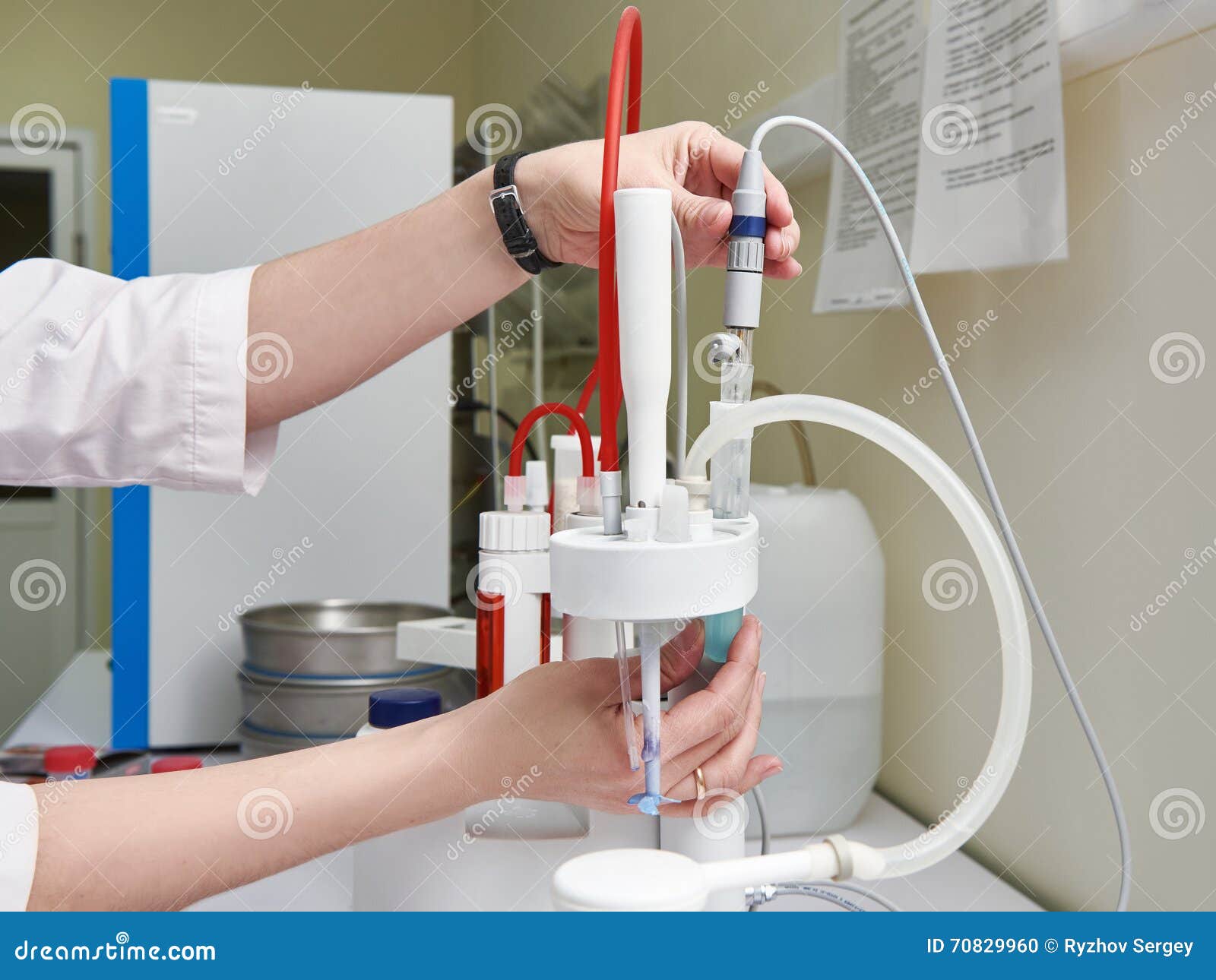 Research of Biological Material in Biochemical Laboratory Stock Photo ...