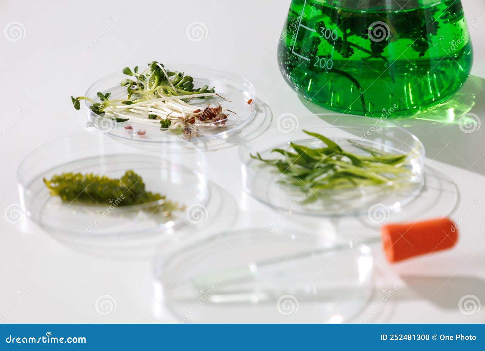 Research and Biotech Science Scientists are Developing Research on ...