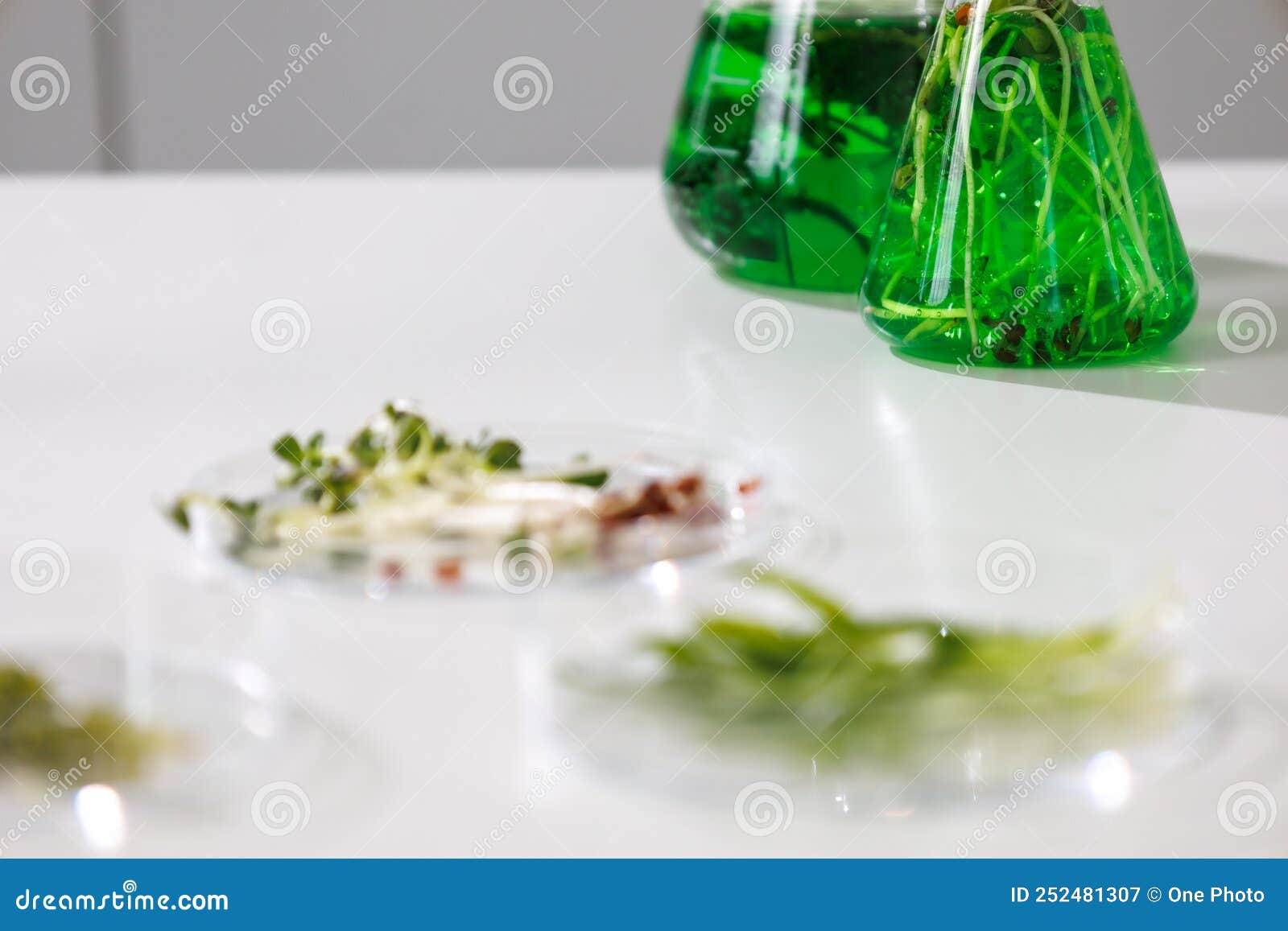 Research and Biotech Science Scientists are Developing Research on ...