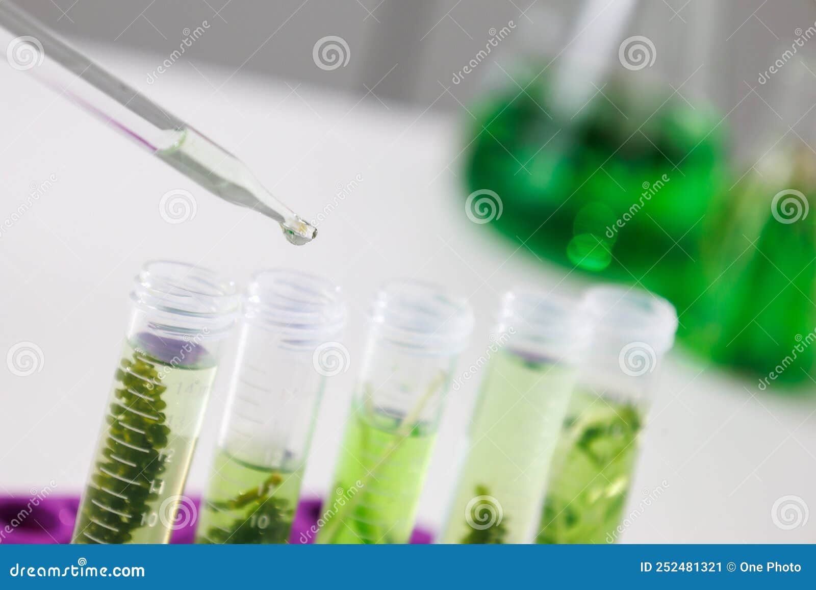 Research and Biotech Science Scientists are Developing Research on ...