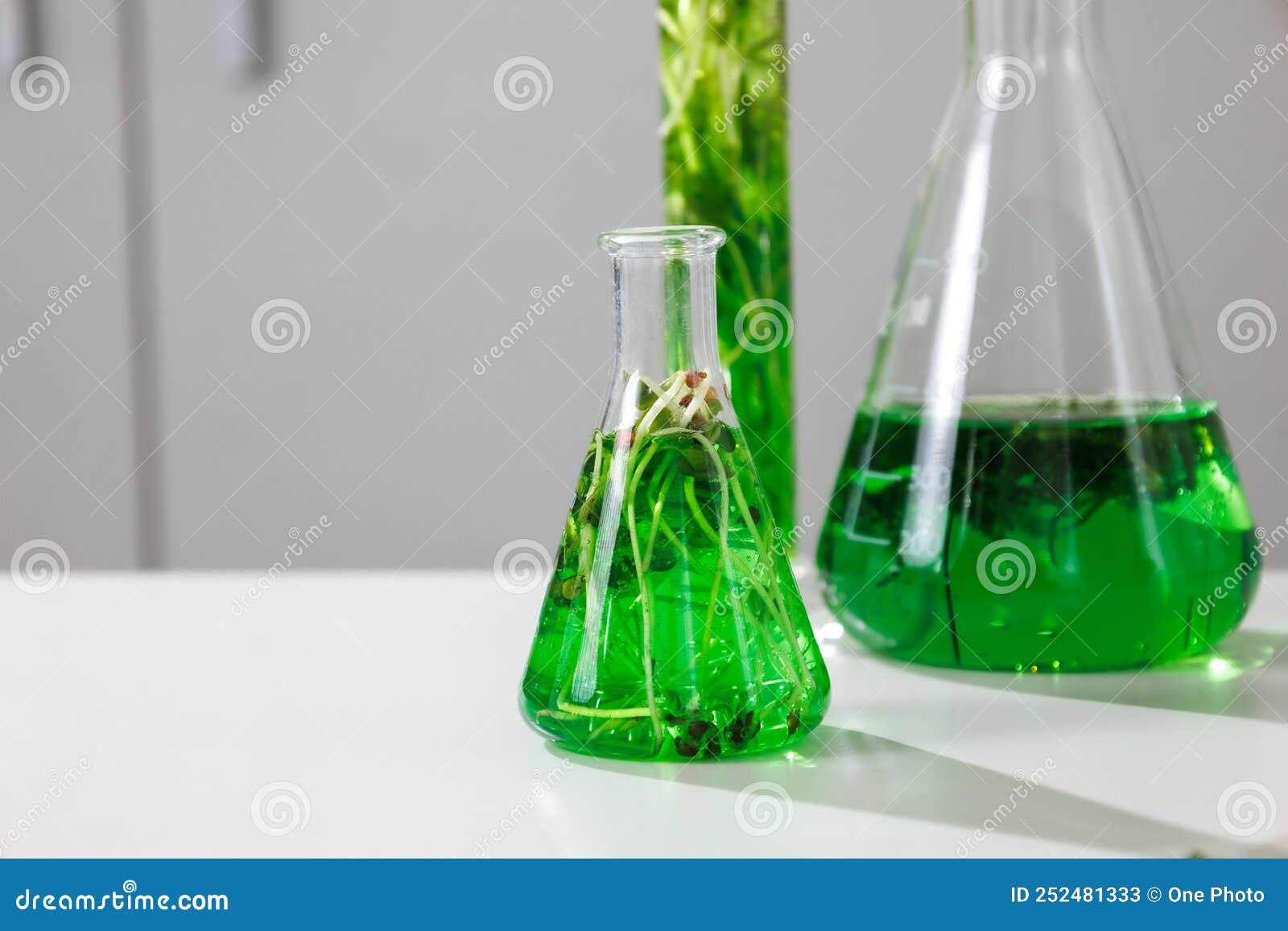 Research and Biotech Science Scientists are Developing Research on ...