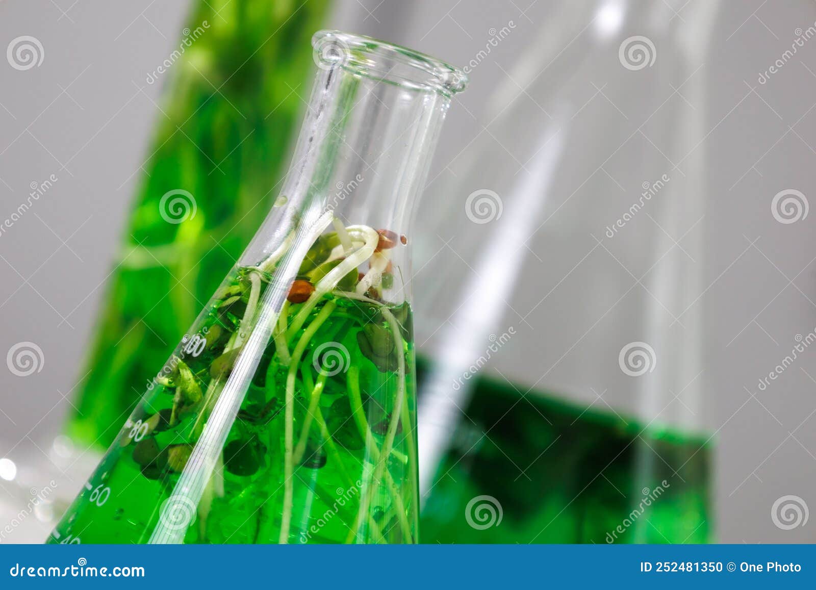 Research and Biotech Science Scientists are Developing Research on ...